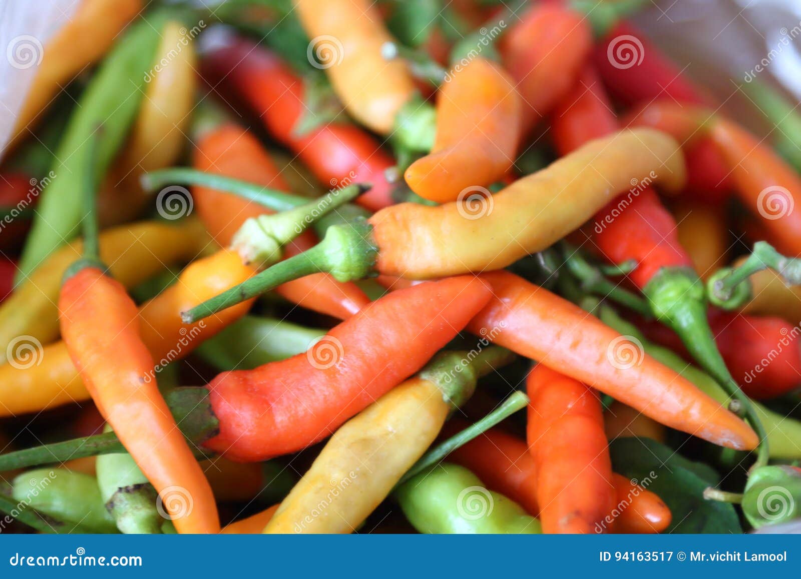 Multi-colored peppers. stock image. Image of natural - 94163517