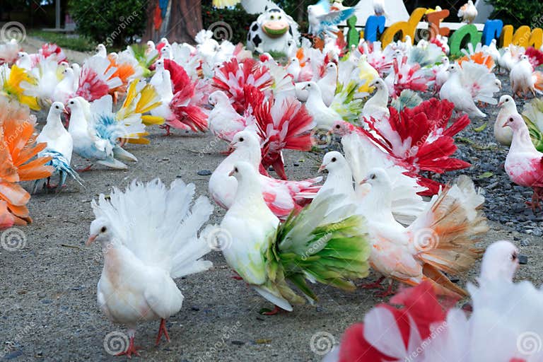 Multi-colored pigeons stock photo. Image of tropical - 80983058