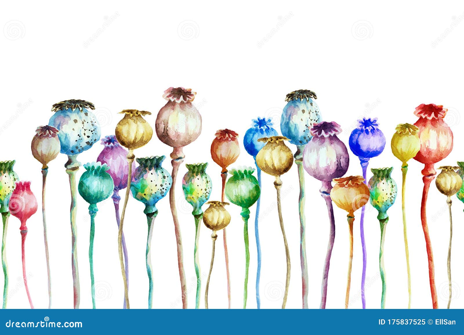 Multi-colored Poppy Capsules on a White Background, Seamless Pattern ...