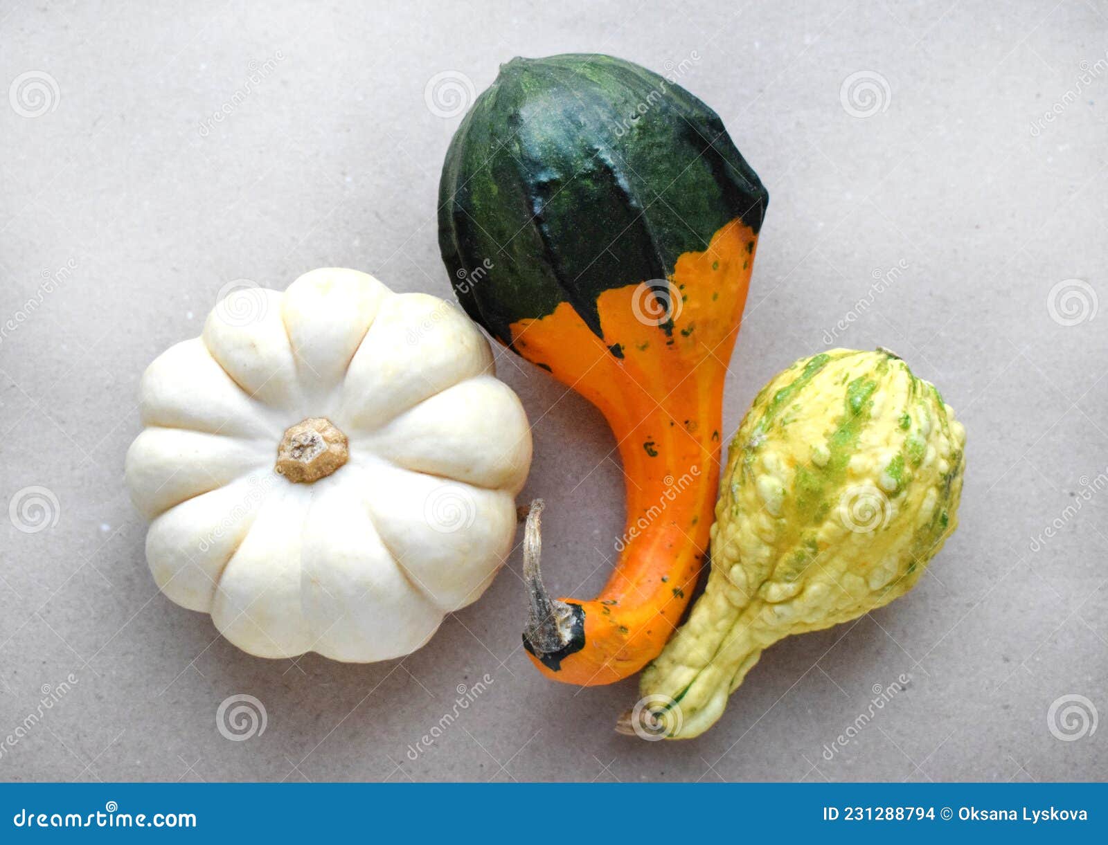 Multi-colored Pumpkins of Different Varieties Lie on Paper. View from ...