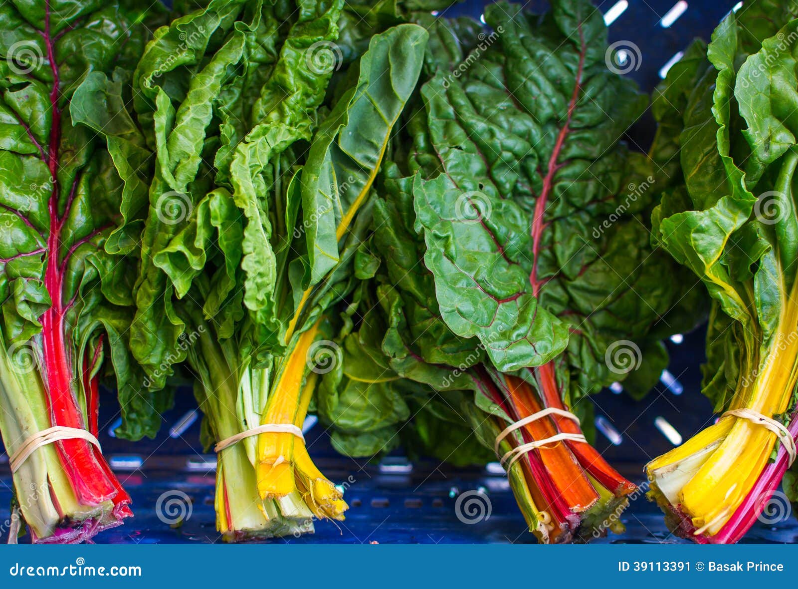 Multi-colored Rainbow Chards Stock Image - Image of cooking, book: 39113391