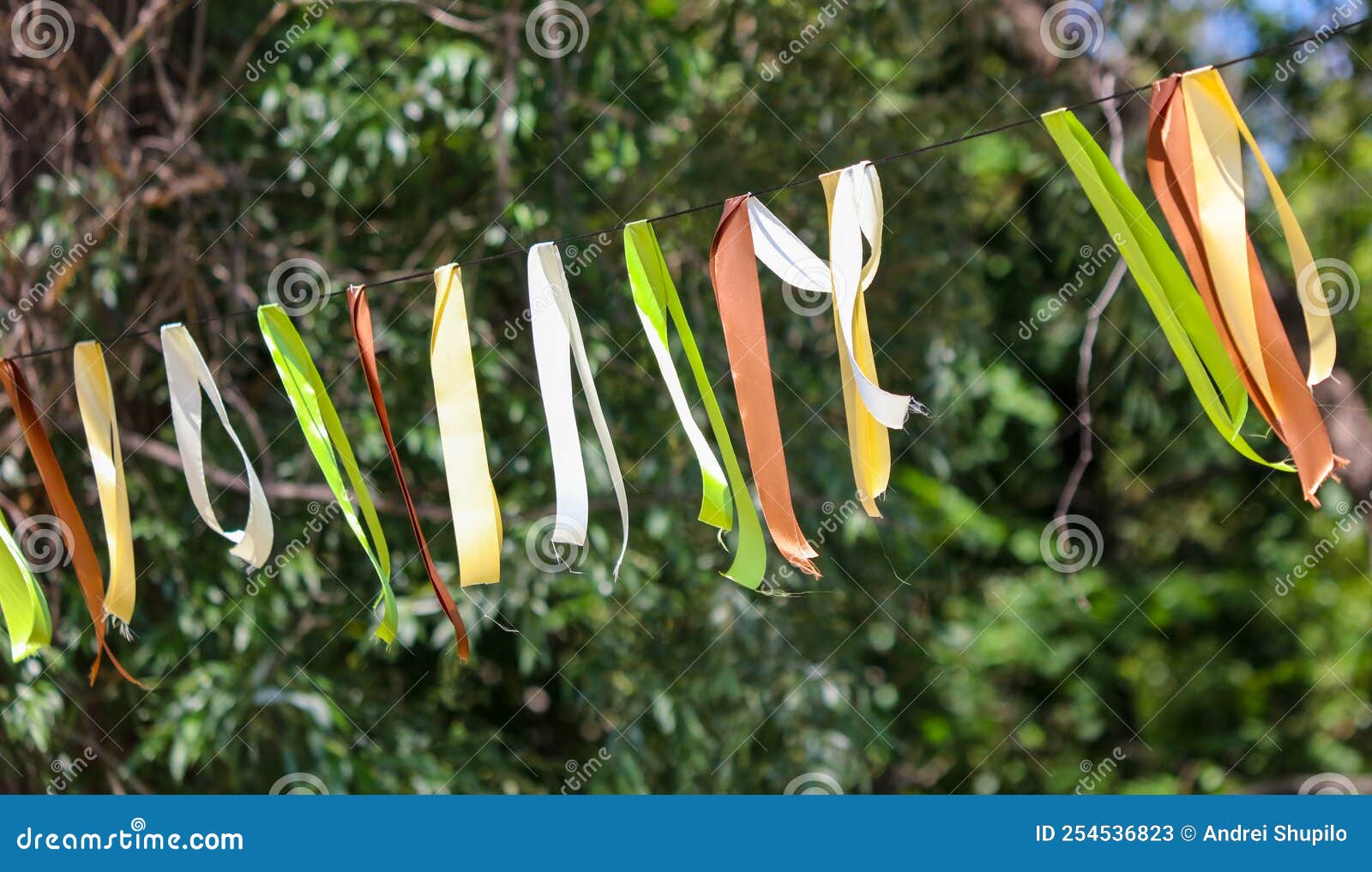 Multi-colored Ribbons Hang in the Park Stock Image - Image of culture ...