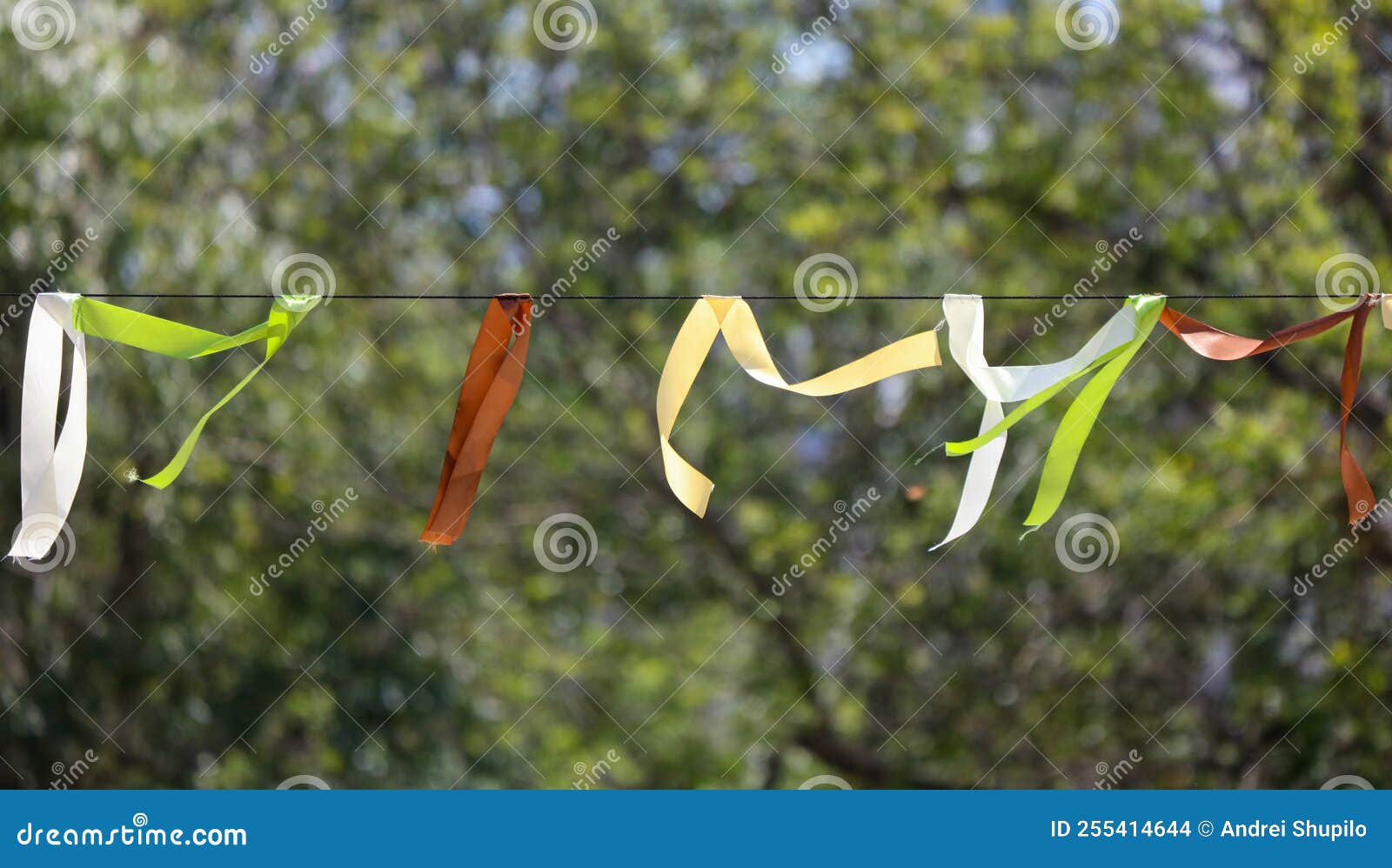 Multi-colored Ribbons Hang in the Park Stock Photo - Image of ...