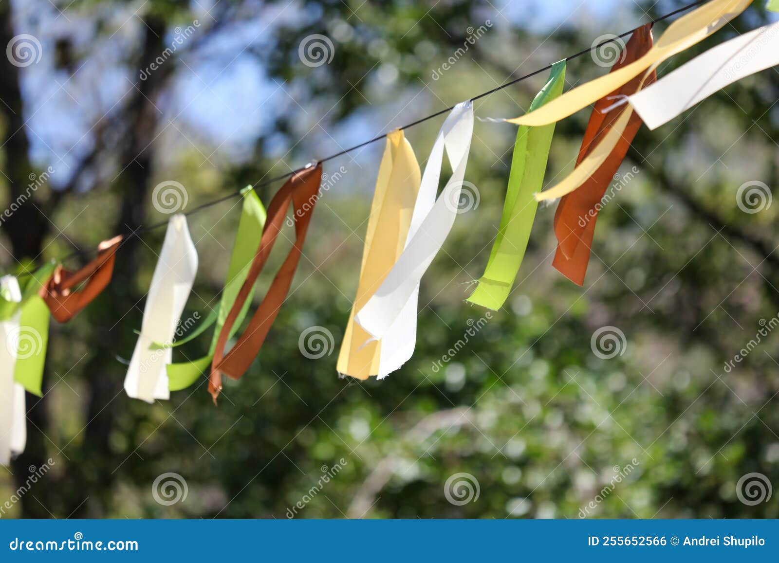 Multi-colored Ribbons Hang in the Park Stock Photo - Image of happy ...