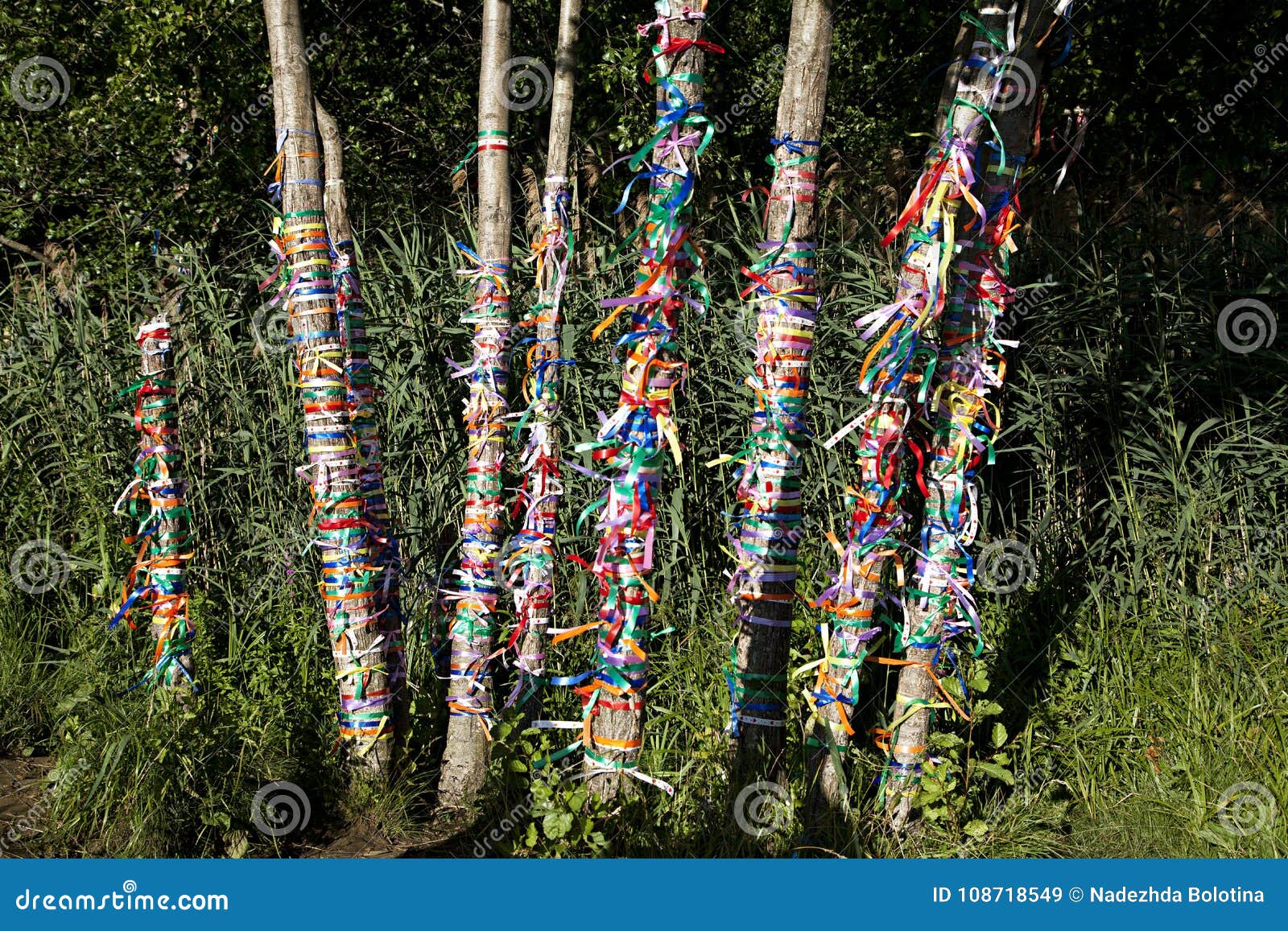 Multi-colored Ribbons on a Tree Stock Image - Image of execution ...