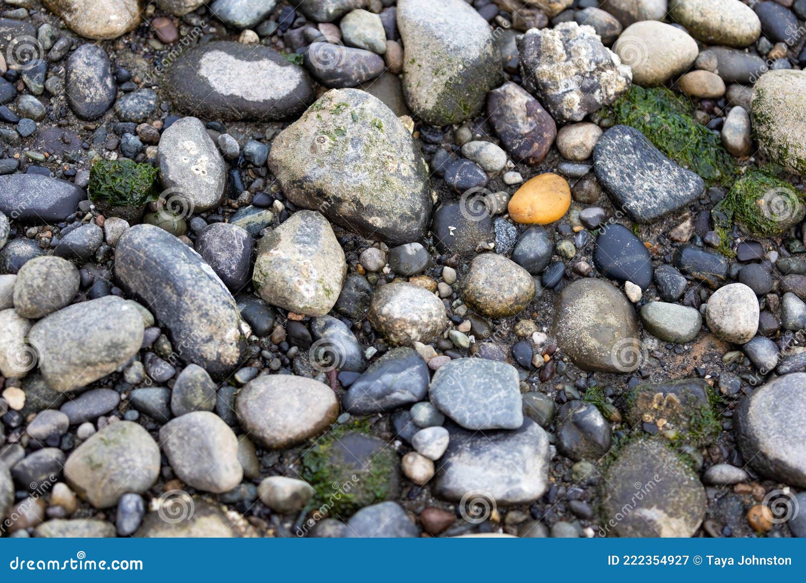 Multi Colored Rocks in the Sand at Low Tide Stock Image - Image of ...