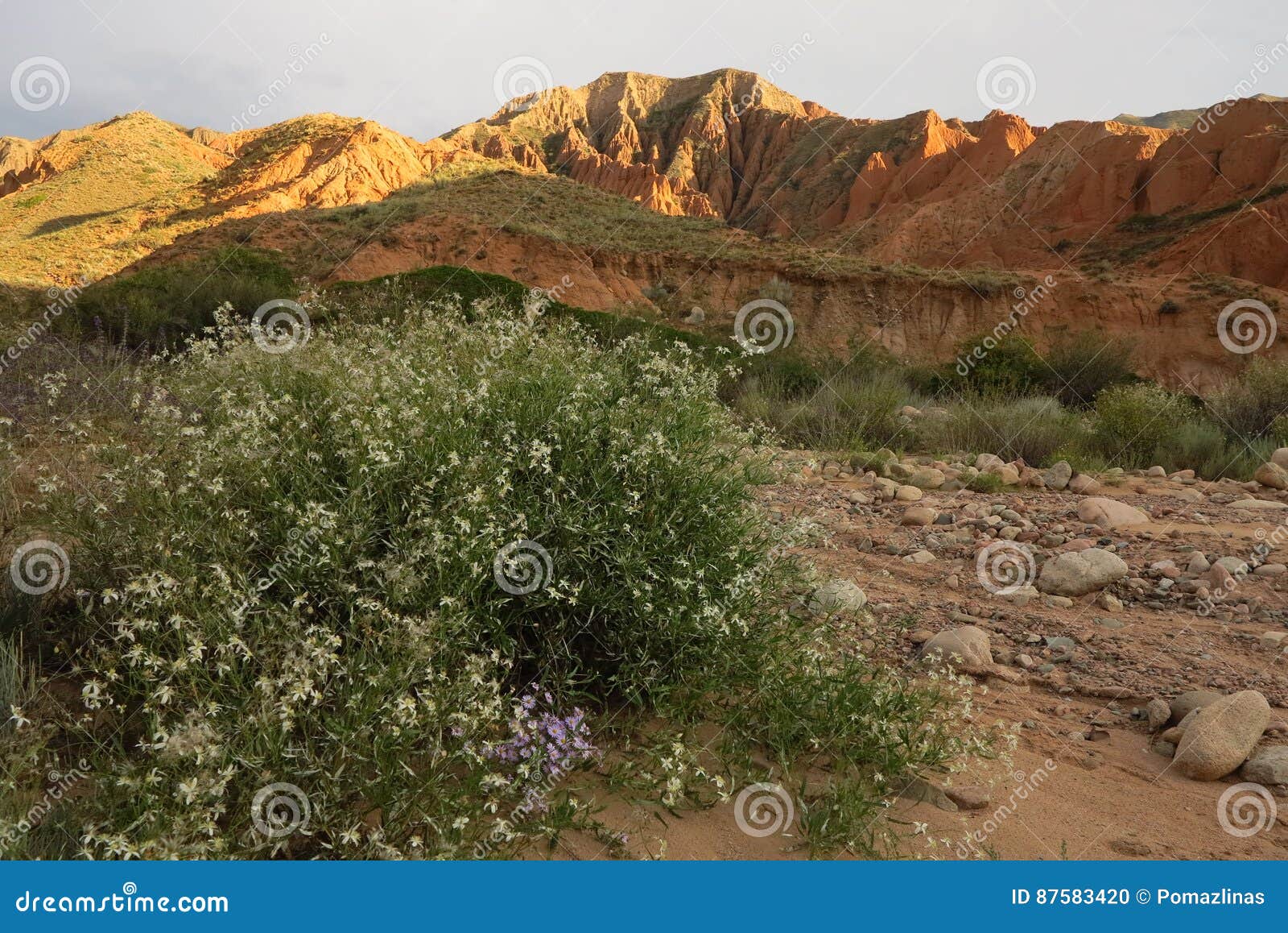Multi-colored Rocks in the Steppes Stock Photo - Image of landscape ...