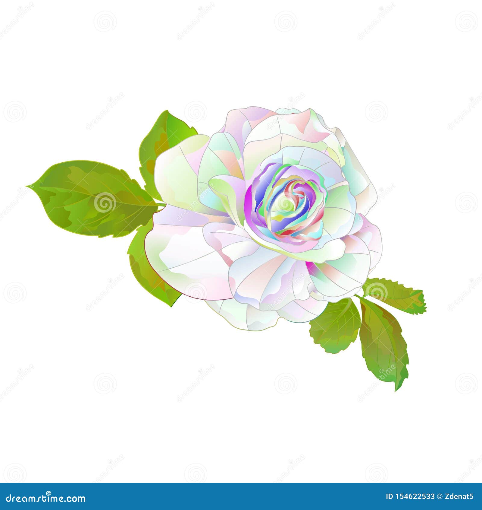 Beautiful Multi Colored Roses Flower Stock Illustrations – 136 ...