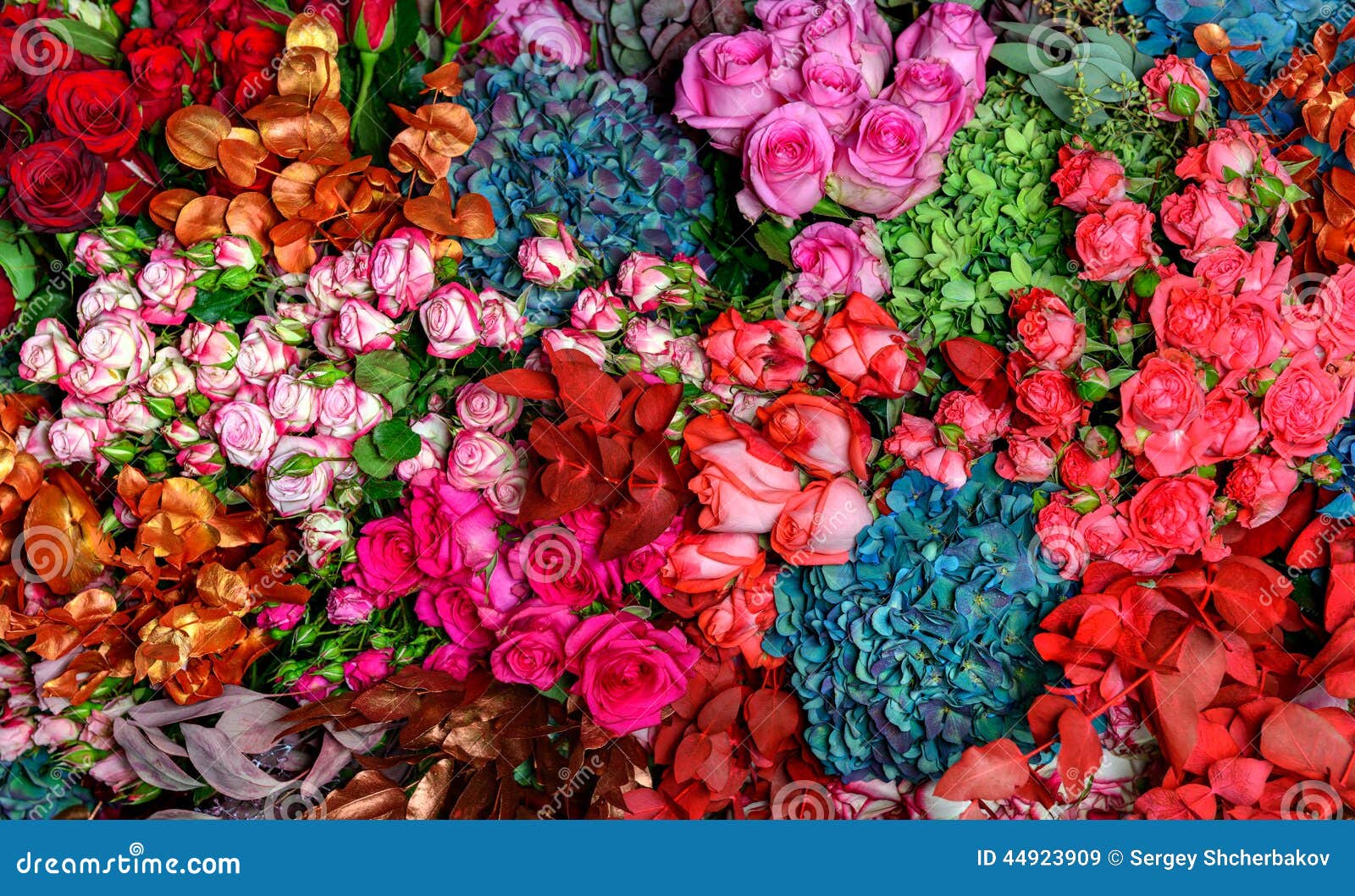 Multi-colored Roses Stock Photo - Image: 44923909