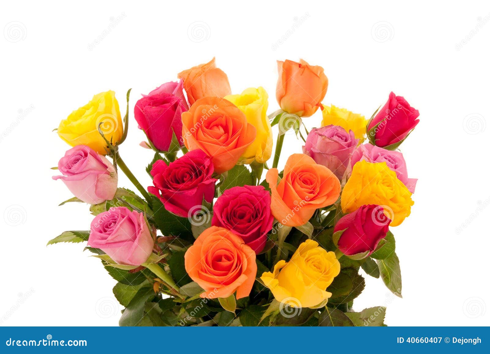 Multi colored roses stock image. Image of nature, birthday - 40660407