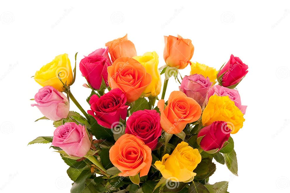 Multi colored roses stock image. Image of nature, birthday - 40660407