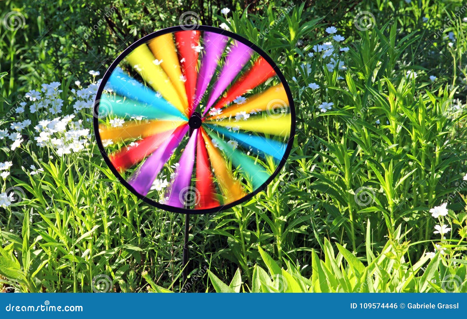 Multi Colored Round Pinwheel in Motion Stock Photo - Image of nature ...