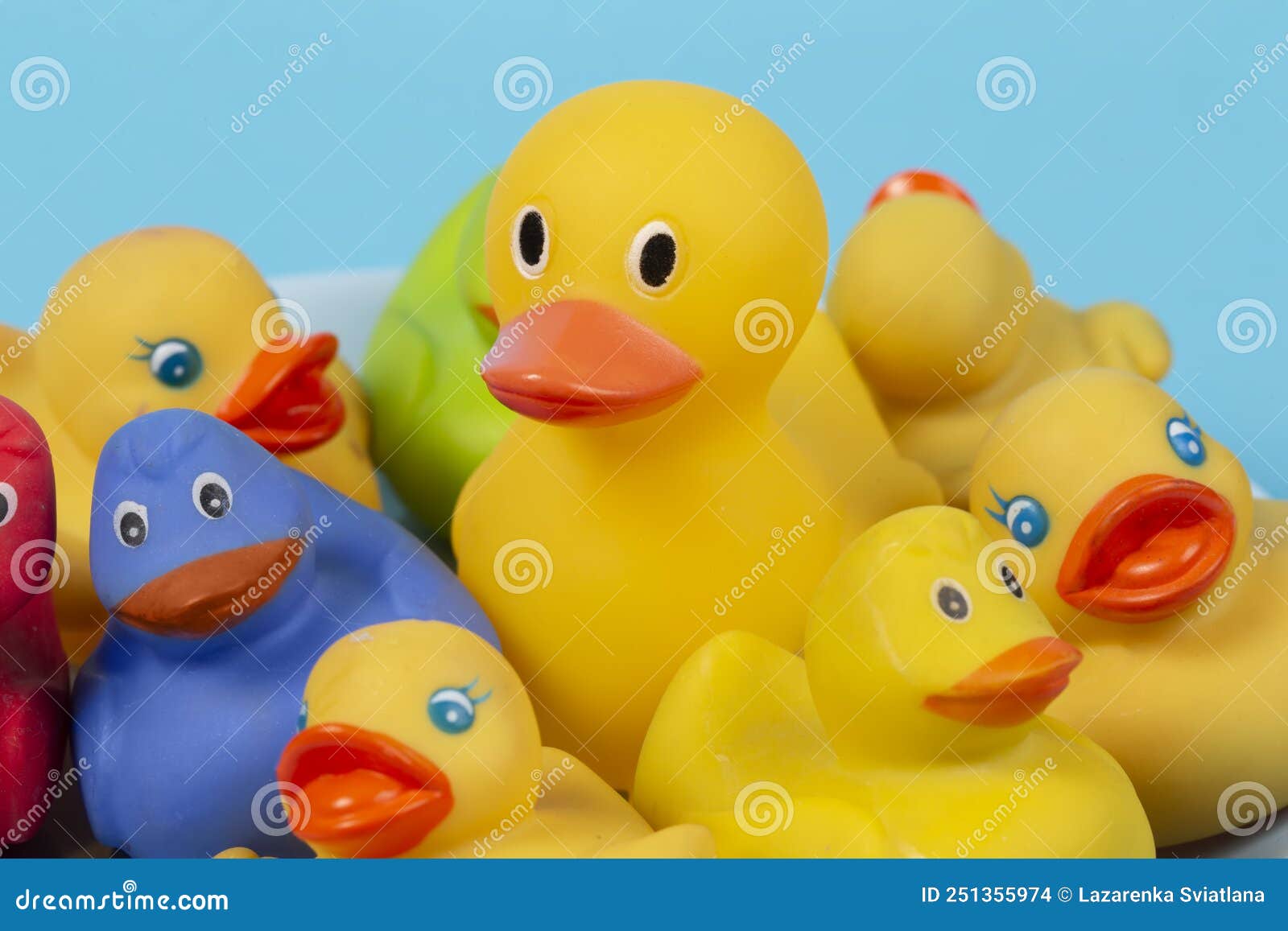 Multi-colored rubber ducks stock photo. Image of bath - 251355974