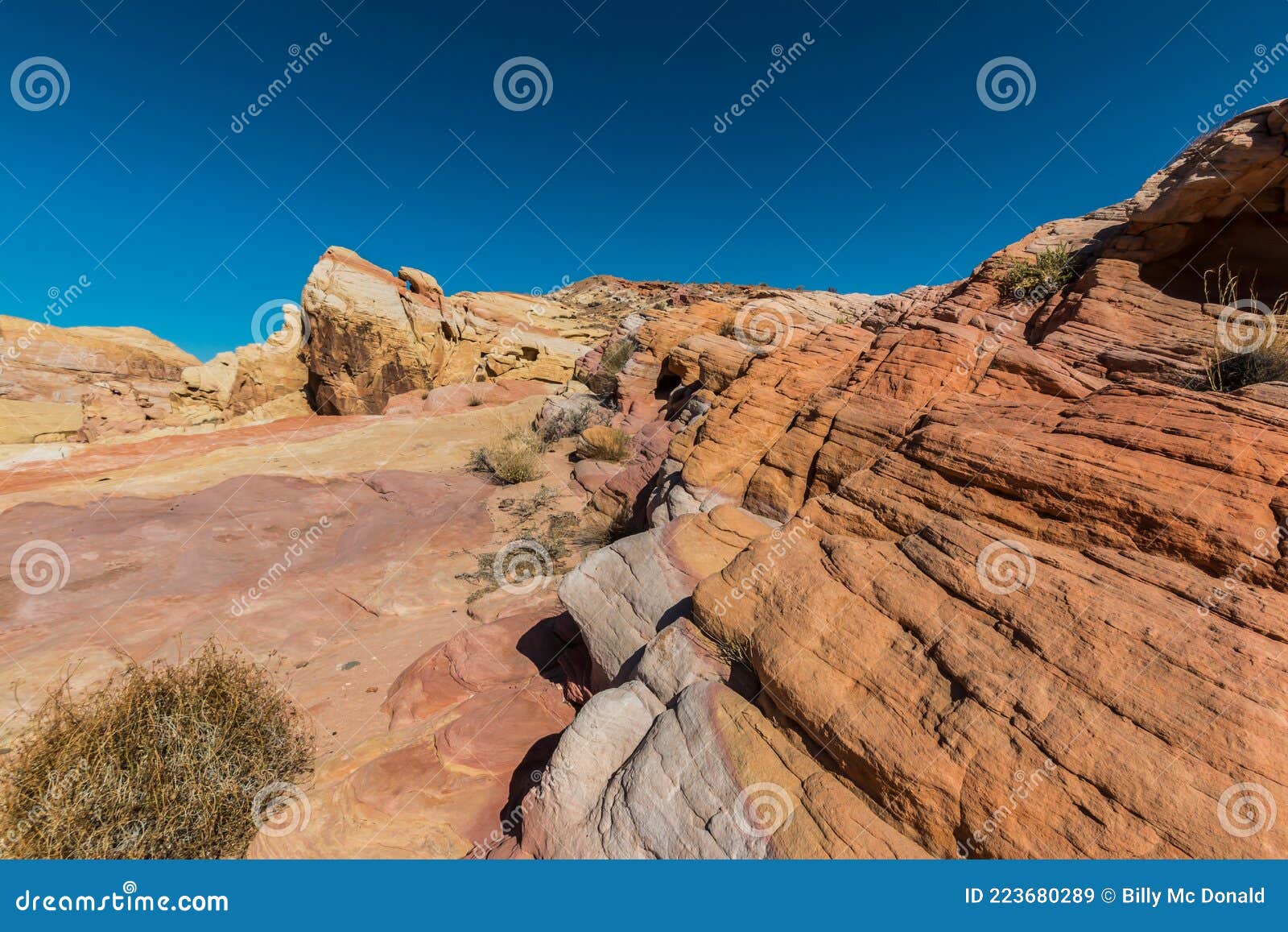 Multi Colored Sandstone Formations the Slick Rock Stock Image - Image ...