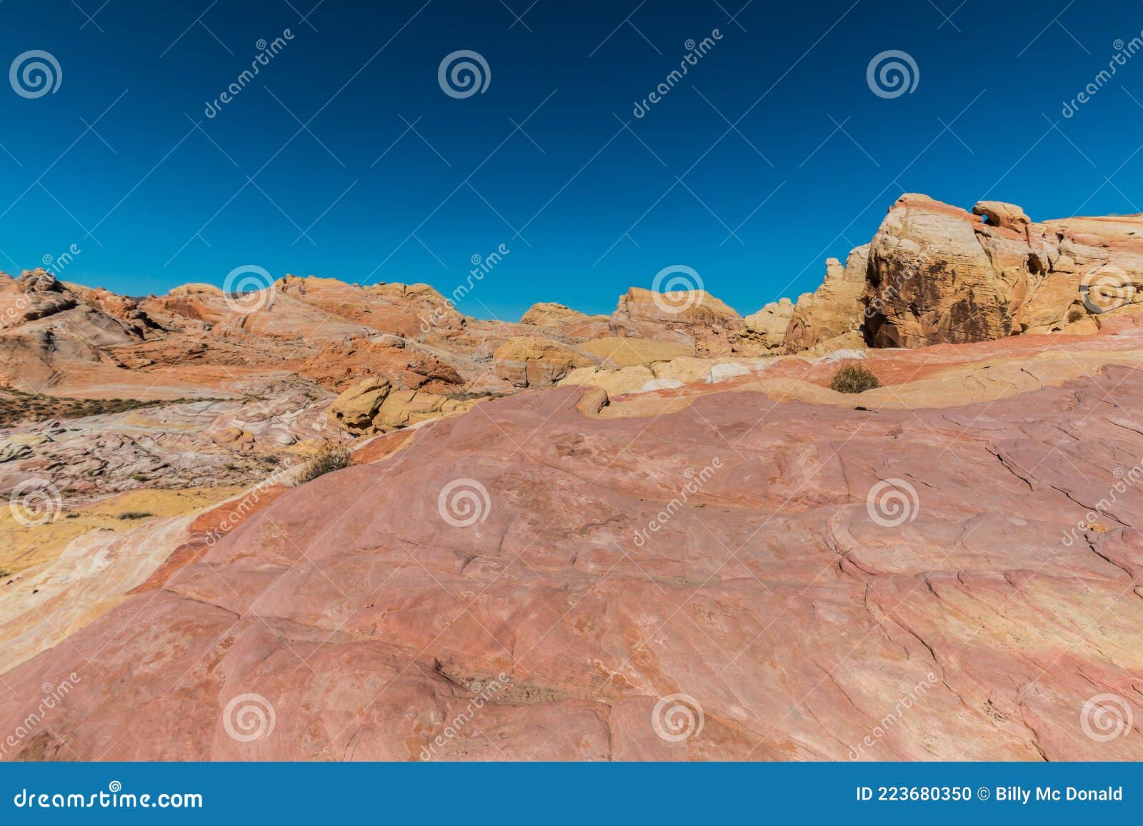 Multi Colored Sandstone Formations the Slick Rock Stock Photo - Image ...