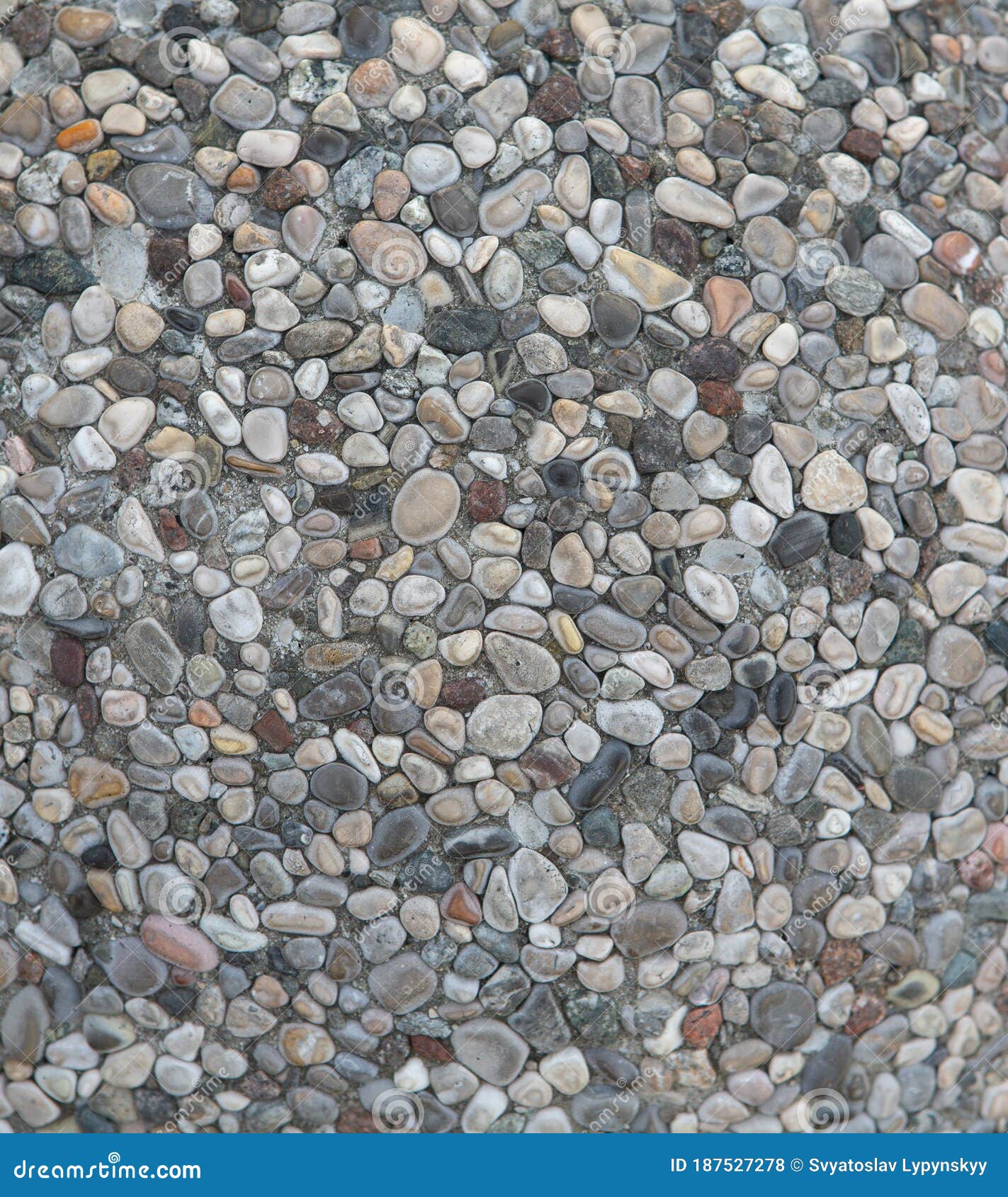 Multi-colored Sea Pebbles at Pathway Outdoors. Small Round Stones are ...