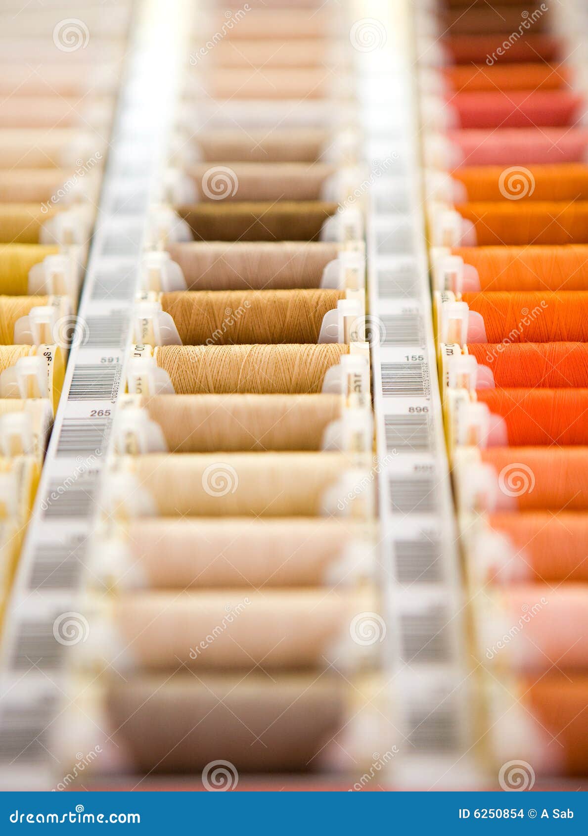 Multi Colored Sewing Threads Stock Photo - Image of knitting, clothing ...