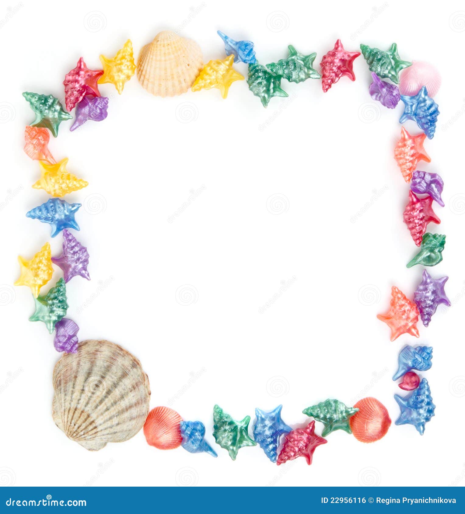 Multi-colored shells stock photo. Image of nature, design - 22956116