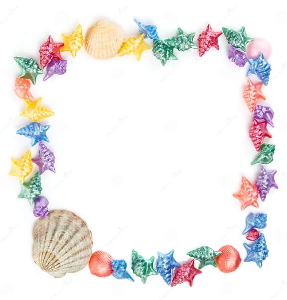 Multi-colored shells stock photo. Image of nature, design - 22956116