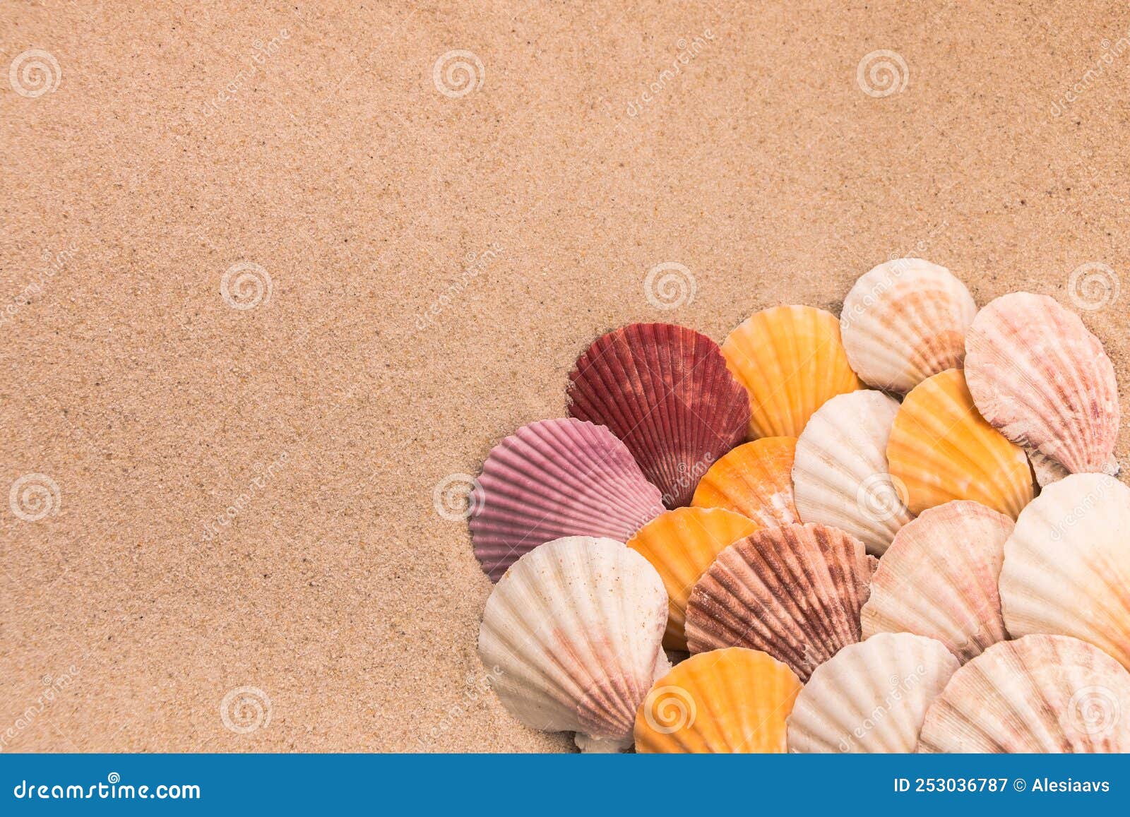 Multi-colored Shells on the Sand, Background for Travel Advertising ...