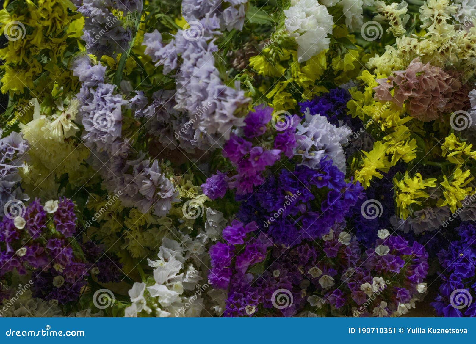 Multi-colored Small Flowers. Amazing Floral Background with Delicate ...