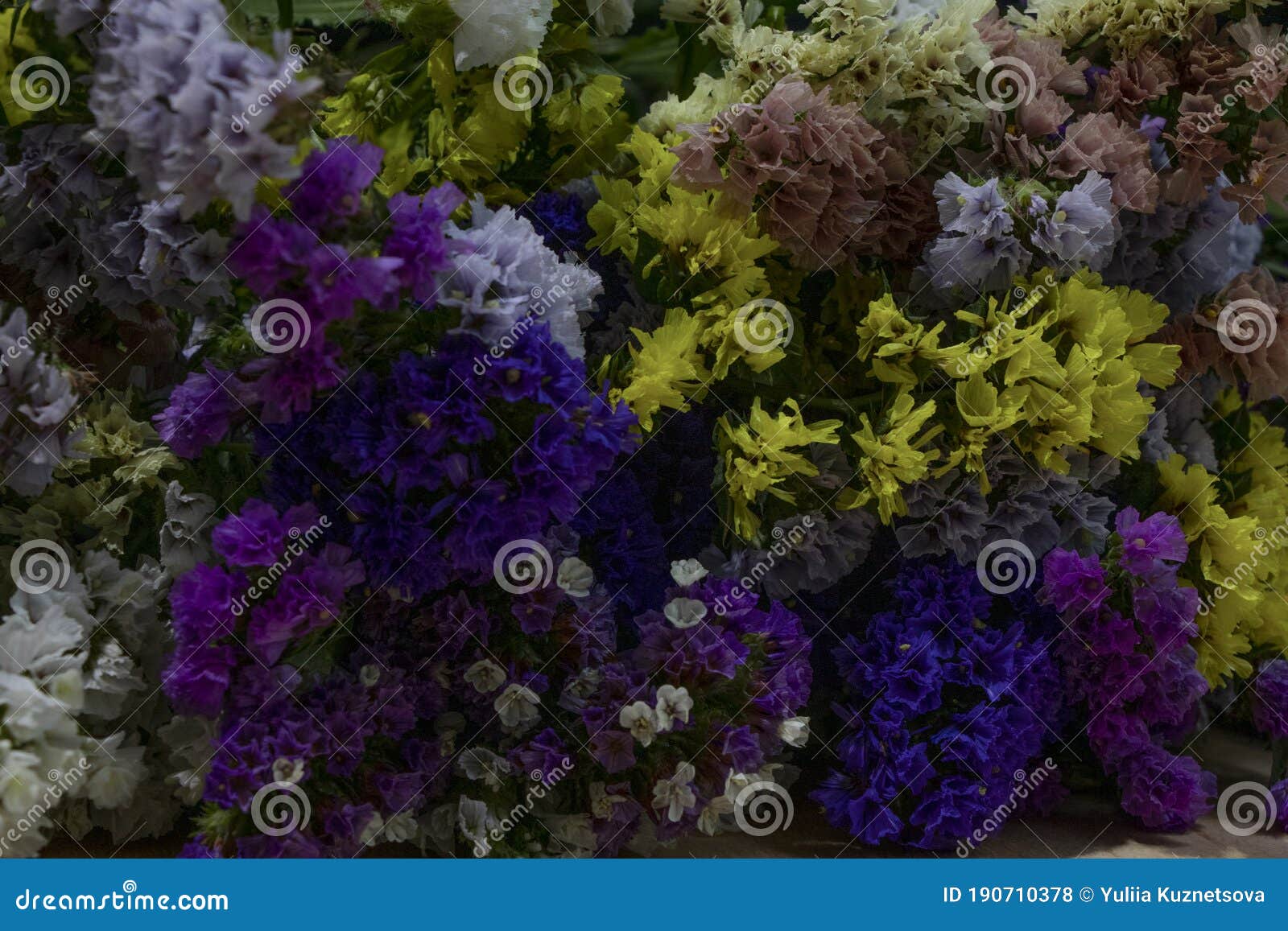 Multi-colored Small Flowers. Amazing Floral Background with Delicate ...