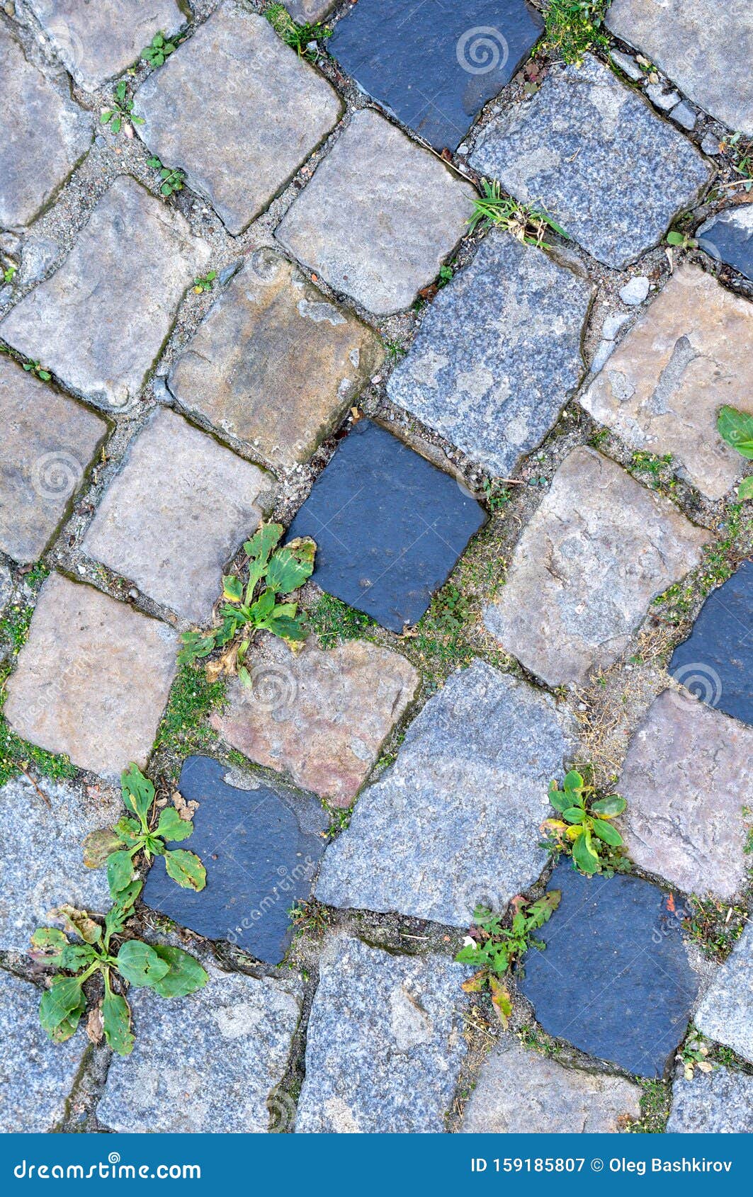 Multi-colored Stone Pavement with Grass between the Plates Stock Image ...