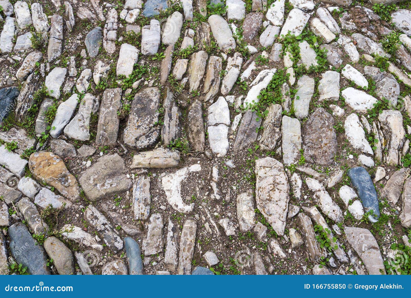 Multi-colored Stones on the Ground. Different Shapes and Sizes Stock ...