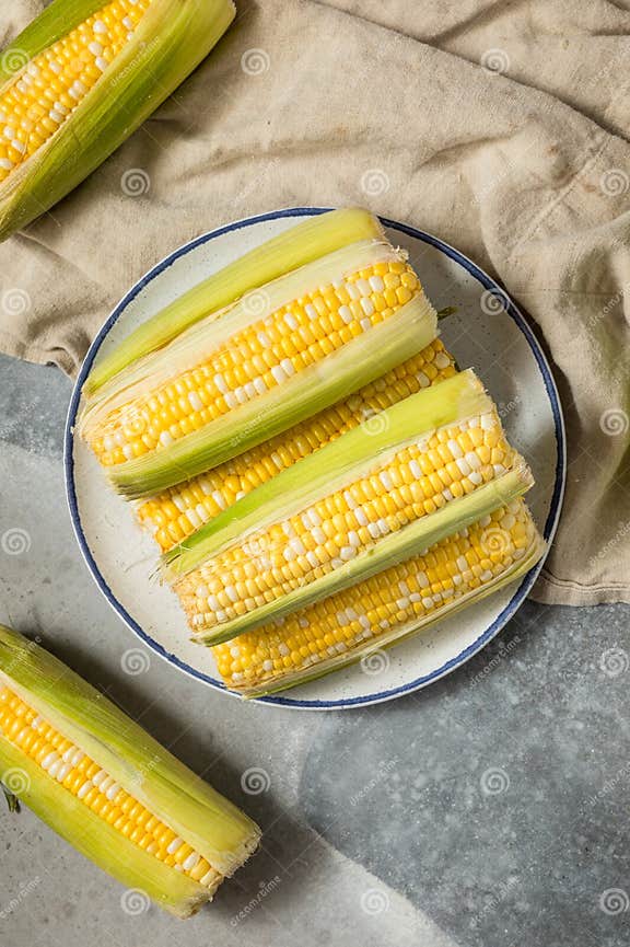 Multi Colored Sweet Corn on the Cob Stock Image - Image of vegetable ...