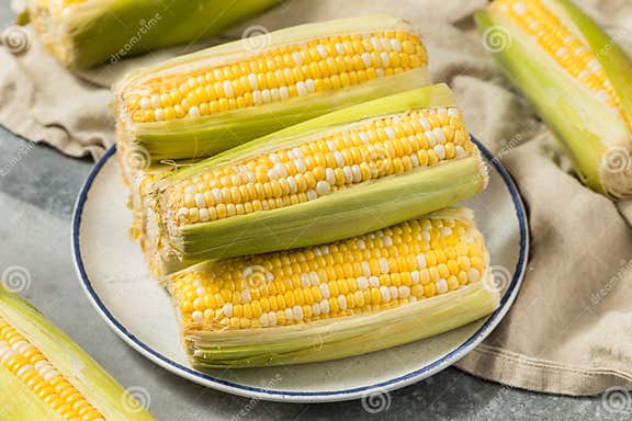 Multi Colored Sweet Corn on the Cob Stock Photo - Image of food ...
