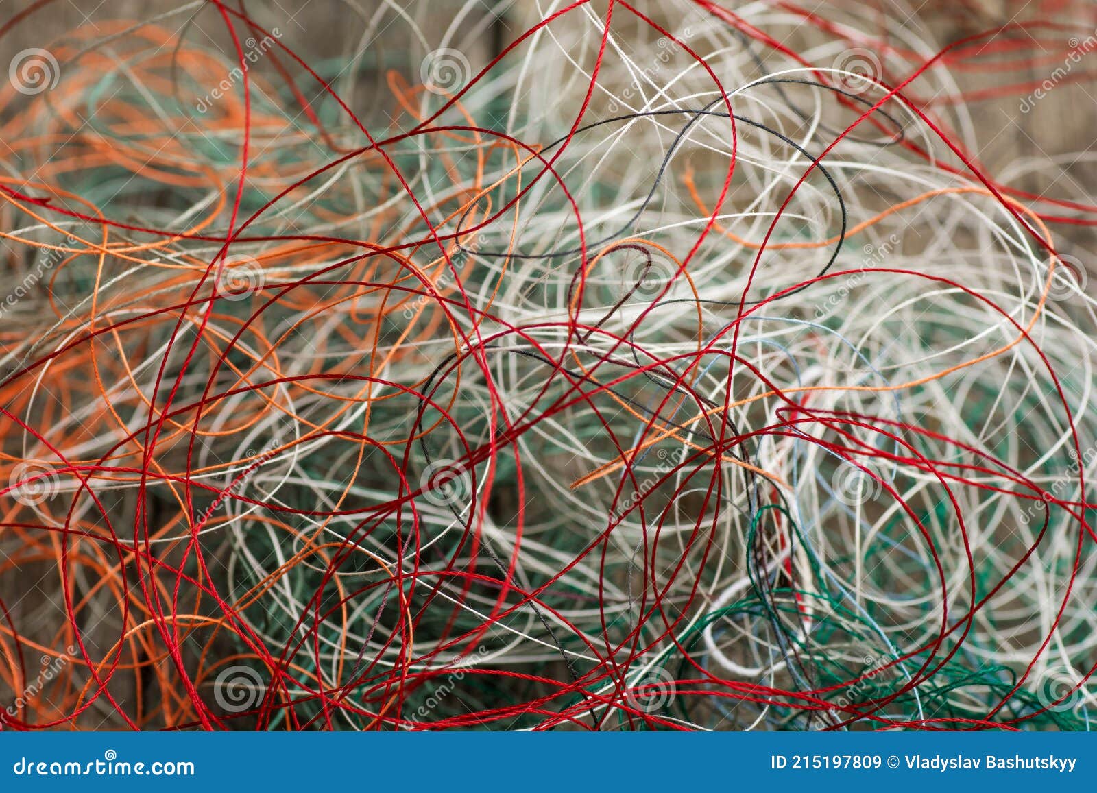 Fragility Threads Science Art Stock Photos - Free & Royalty-Free Stock ...