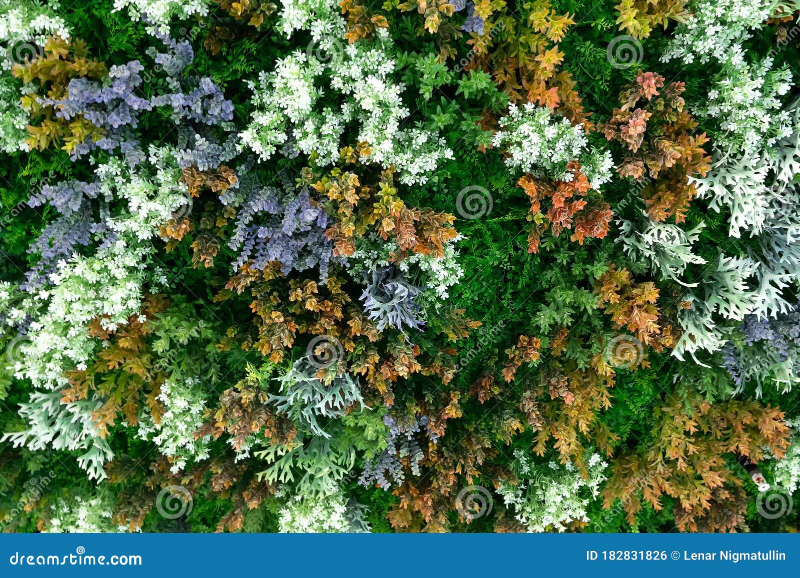 Multi-colored Texture. Foliage of Several Colors Stock Photo - Image of ...