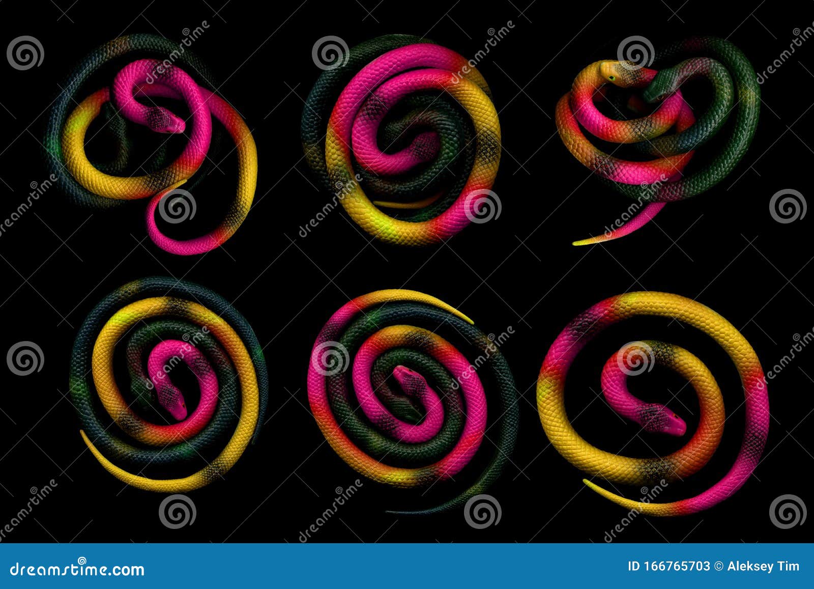 Multi-colored Toy Rubber Snakes Rolled Up in a Ball. Colored Toy Snakes ...