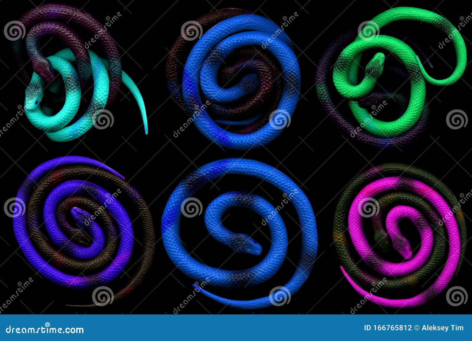 Multi-colored Toy Rubber Snakes Rolled Up in a Ball. Colored Toy Snakes ...