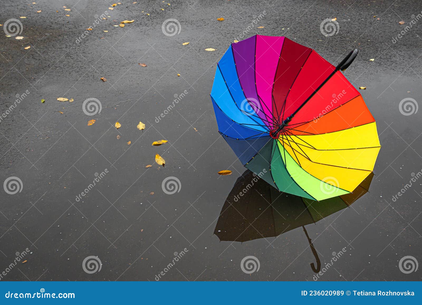 A Multi-colored Umbrella in a Puddle. Stock Image - Image of rain ...