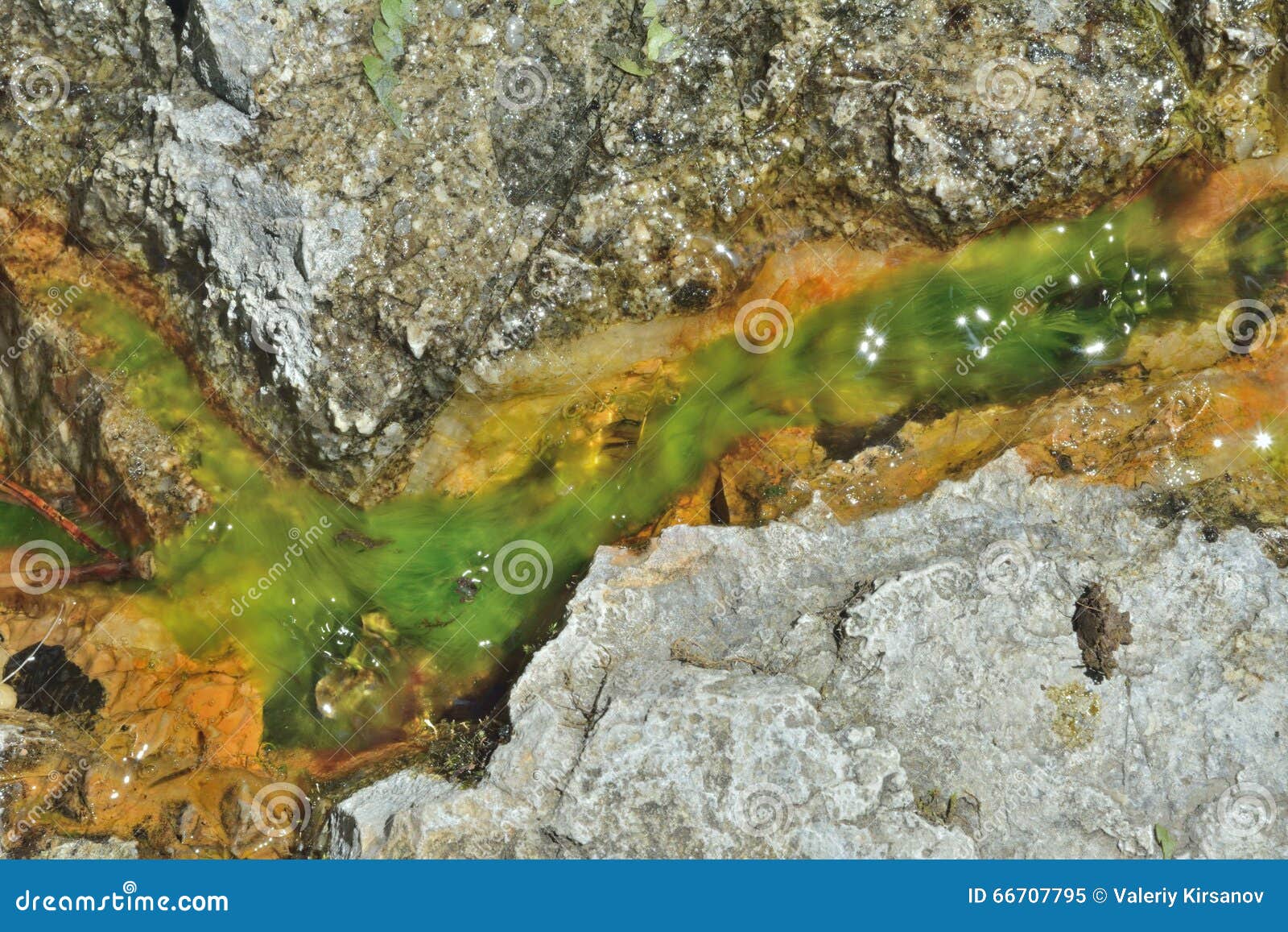 Multi-colored water 10 stock image. Image of colored - 66707795