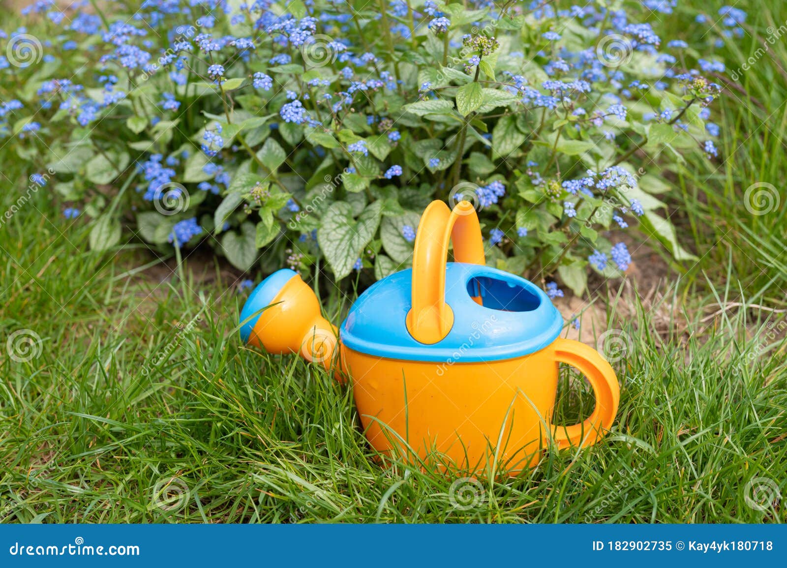 Multi-colored Watering Can for Flowers Stock Image - Image of flowerbed ...