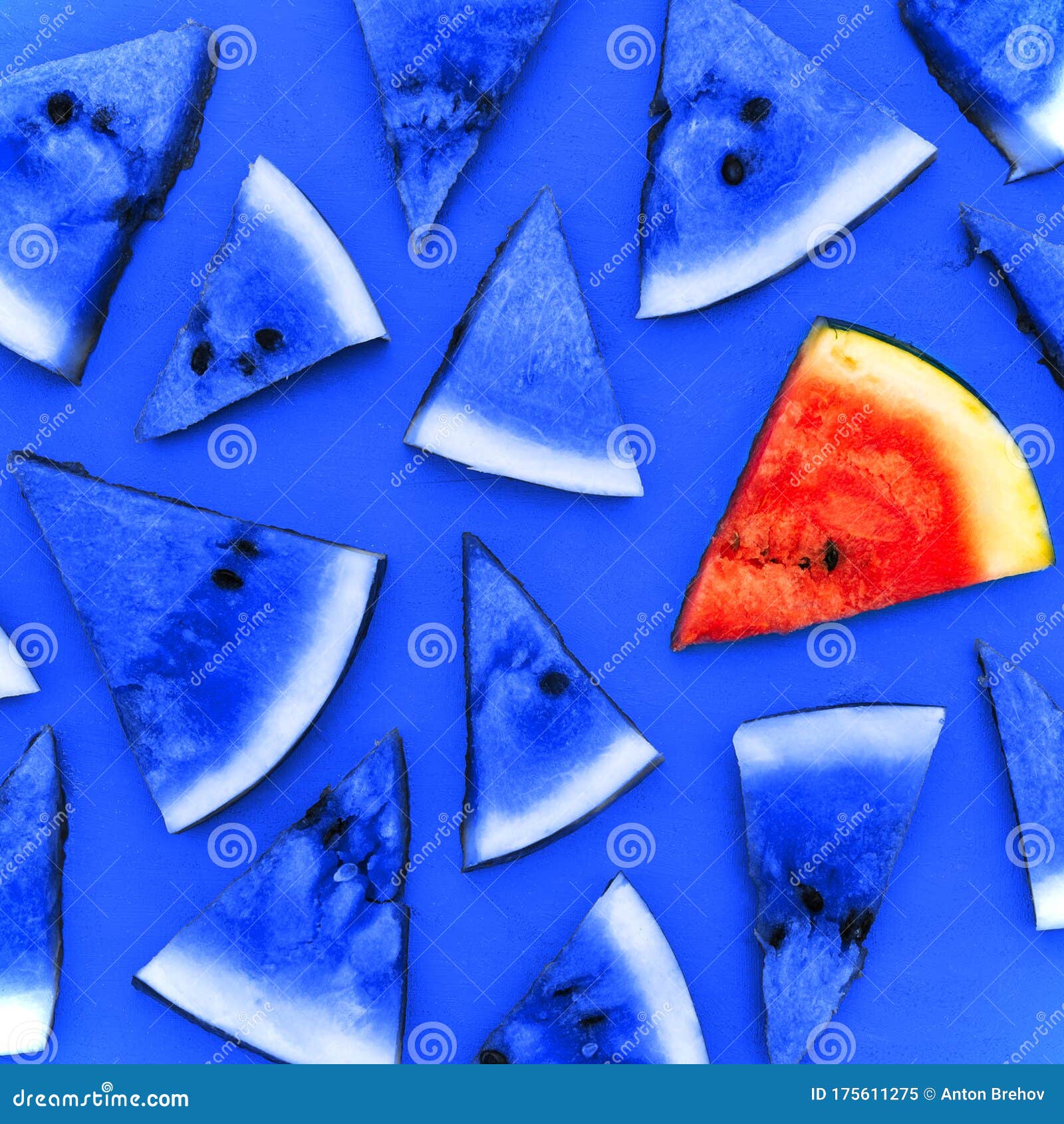 Multi-colored Watermelons on a Blue Background. Contemporary Art ...