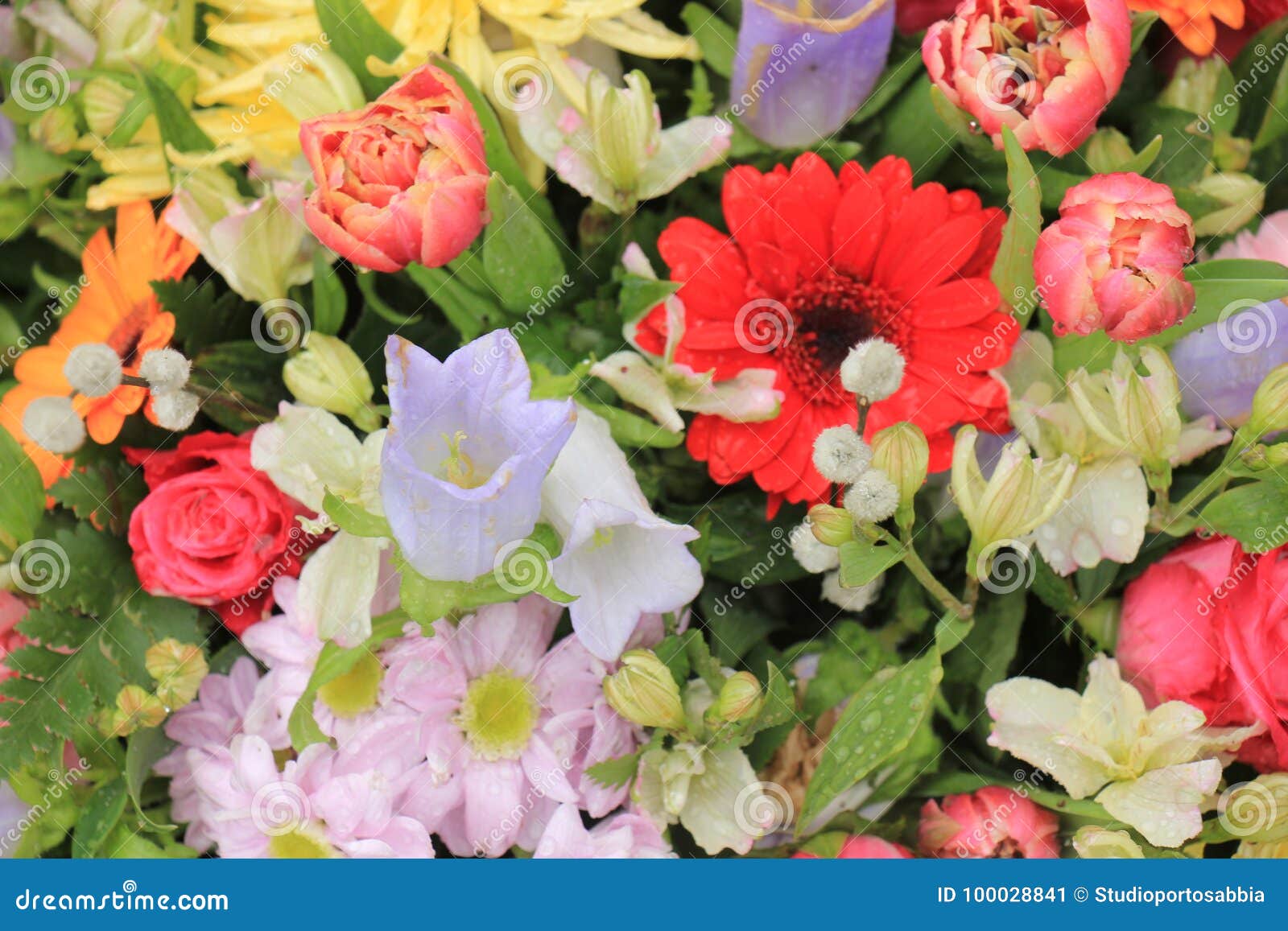 Multi Colored Wedding Flowers Stock Image - Image of petal, flower ...