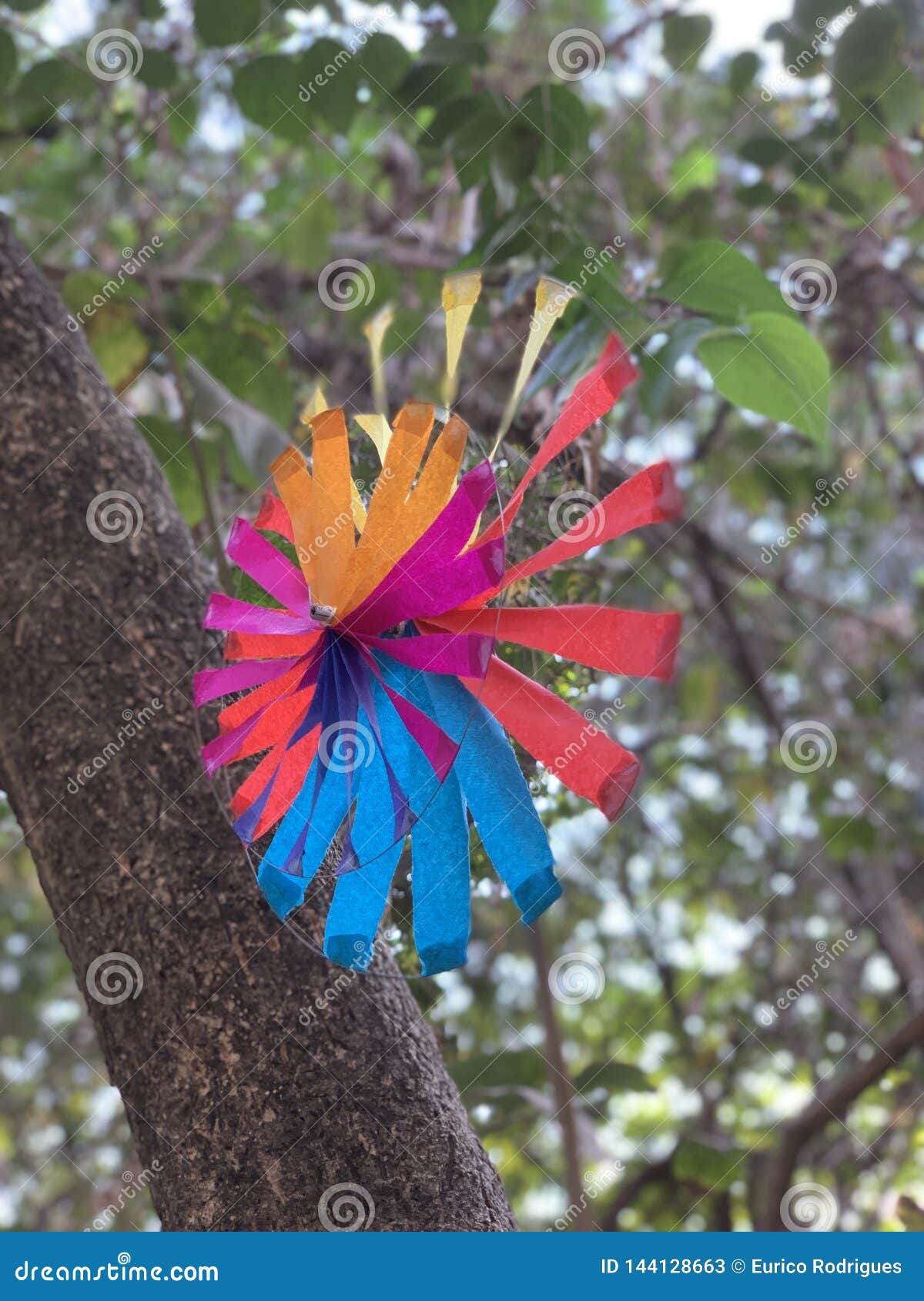 A Multi Colored Wind Mill in Tree Stock Image - Image of branch, mill ...