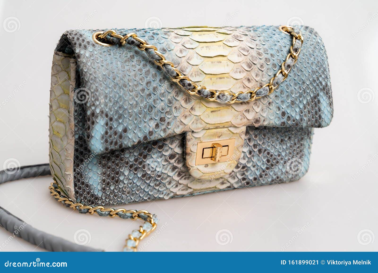 Multi Colored, Womens, Leather Snakeskin Bag. Stock Image - Image of ...