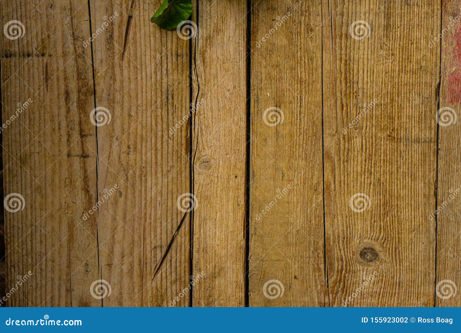 Washed Out Panel Texture - Wood Planks Royalty-Free Stock Image ...