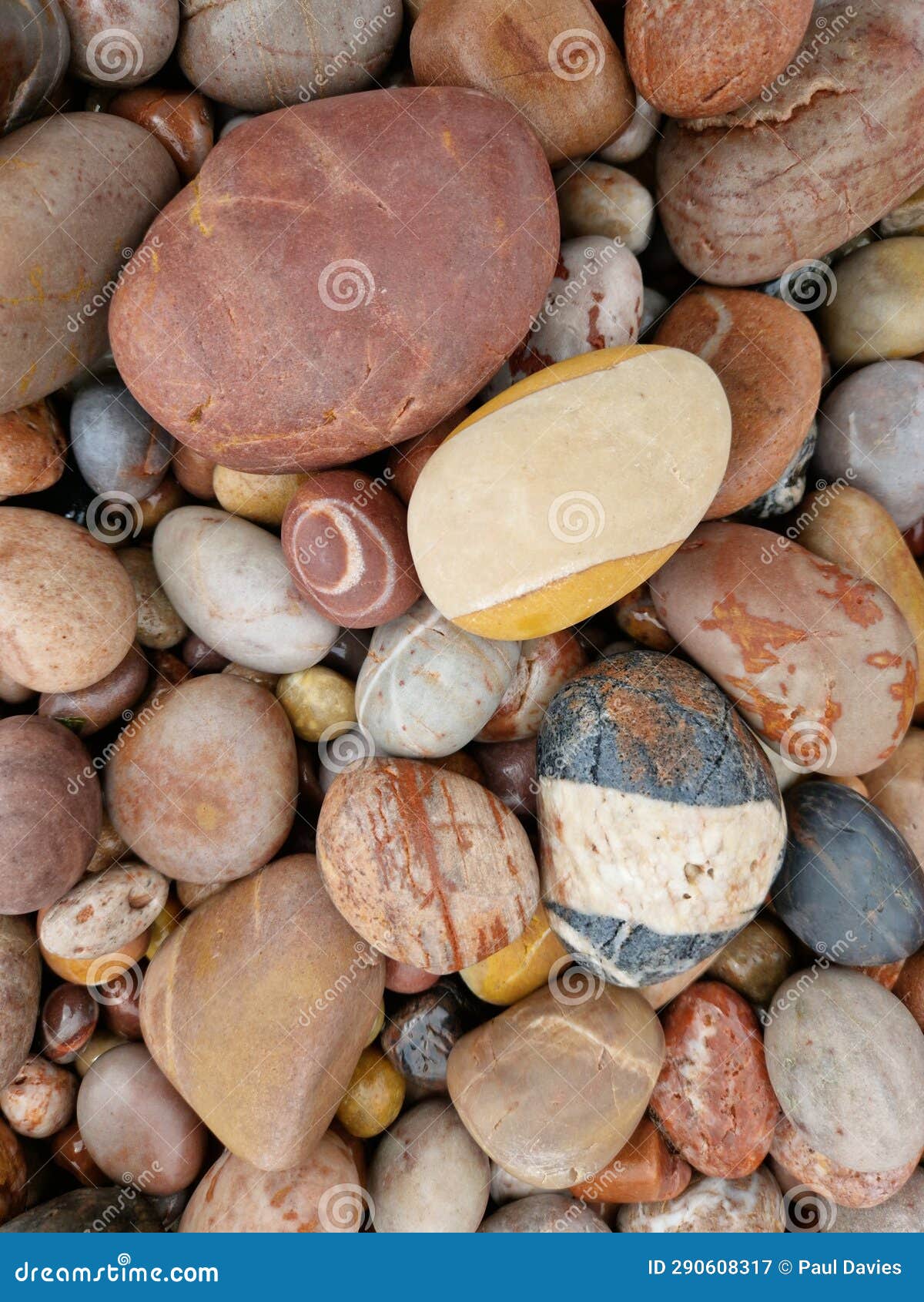 Beach Pebbles Set. Various Shapes Grey Color. Modern Illustration In ...
