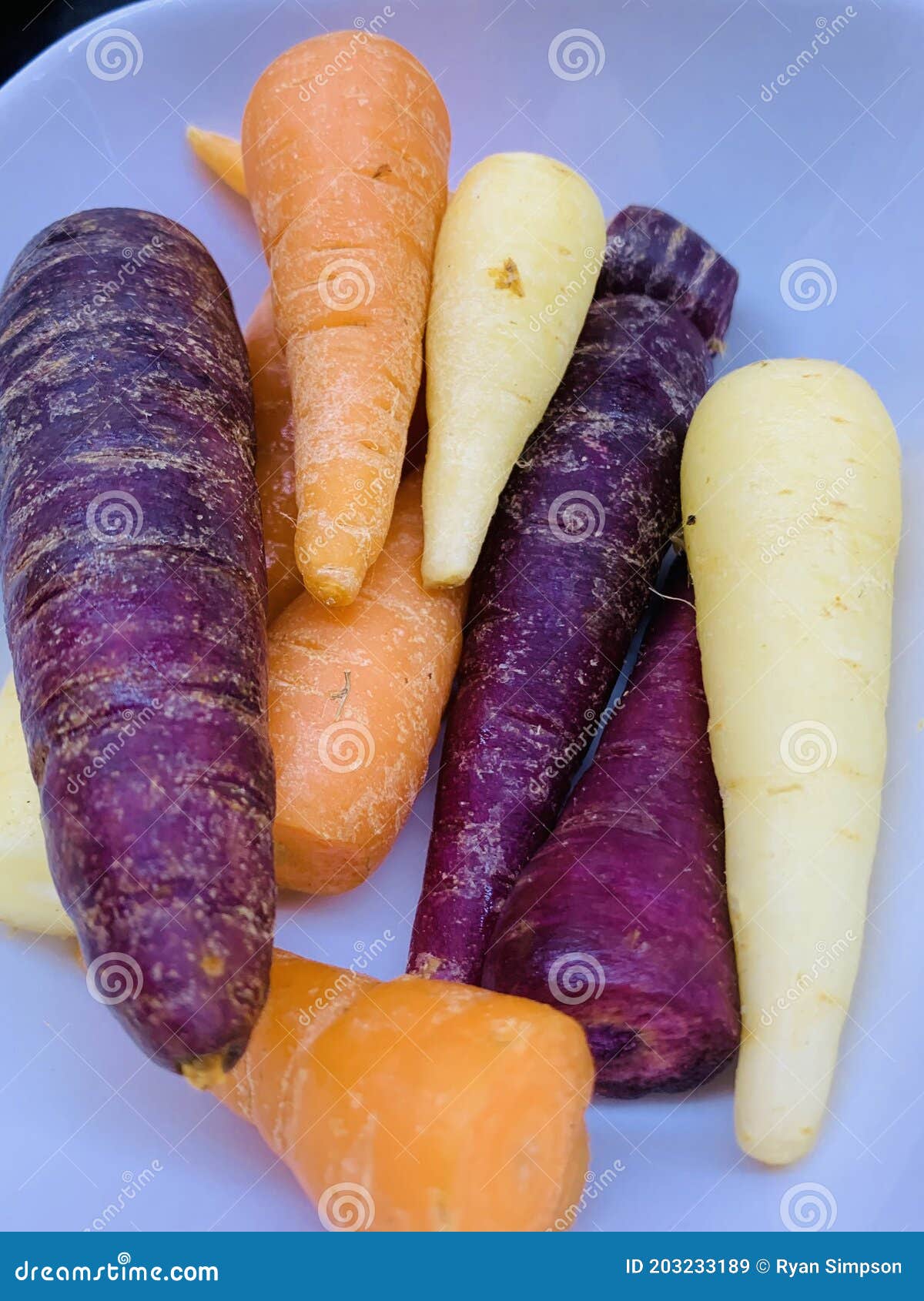 Multi coloured carrots stock image. Image of landscape - 203233189