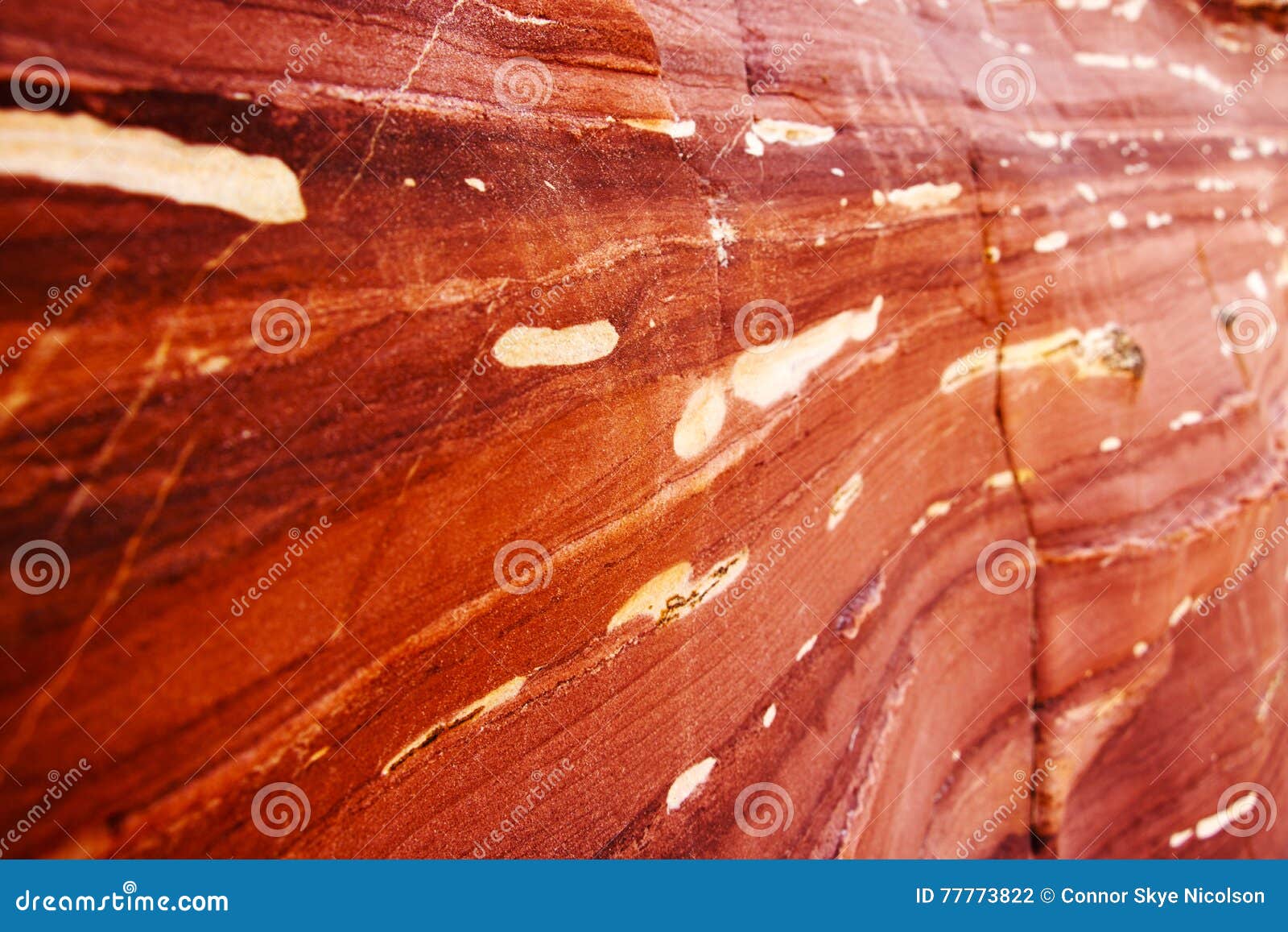 Multi Coloured Cliff of Chapman Stock Photo - Image of macro, chapmans ...