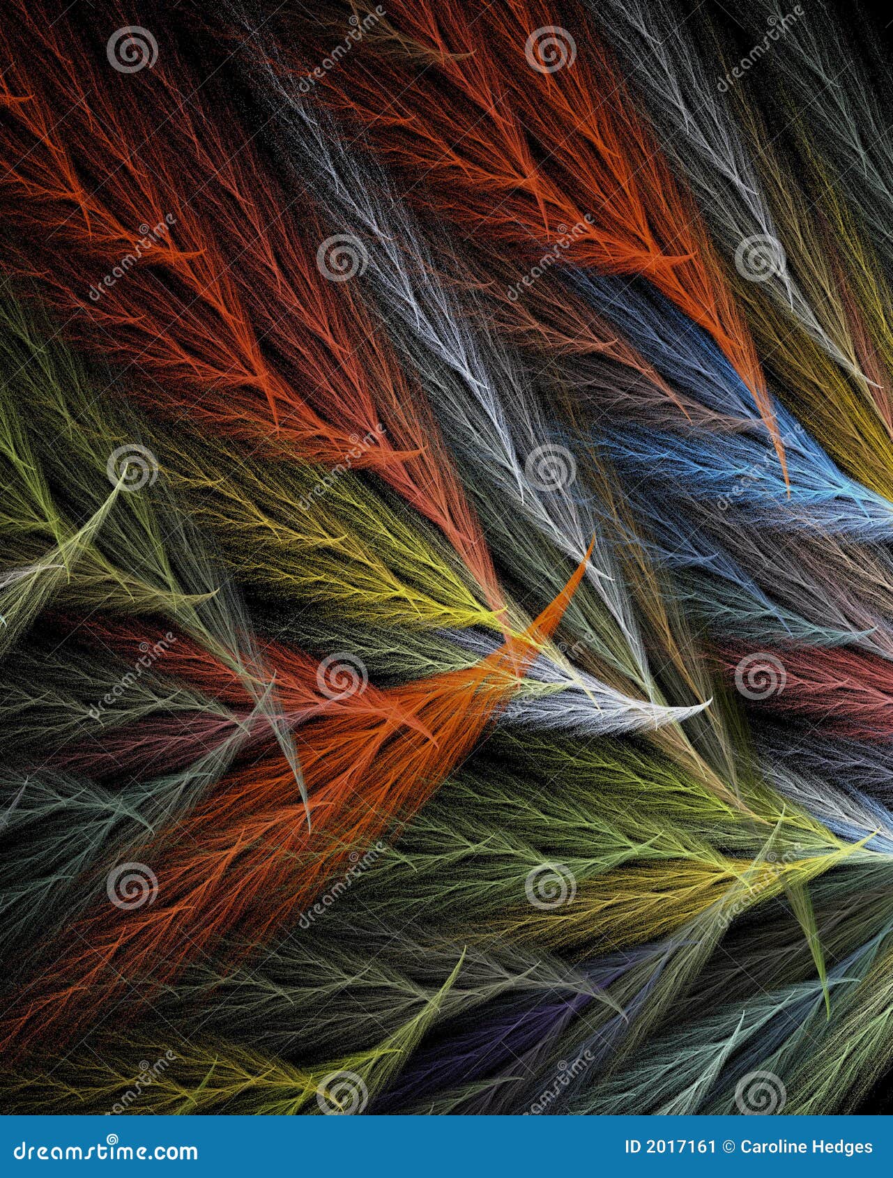 Multi Coloured Feathers stock image. Image of soft, feathers - 2017161