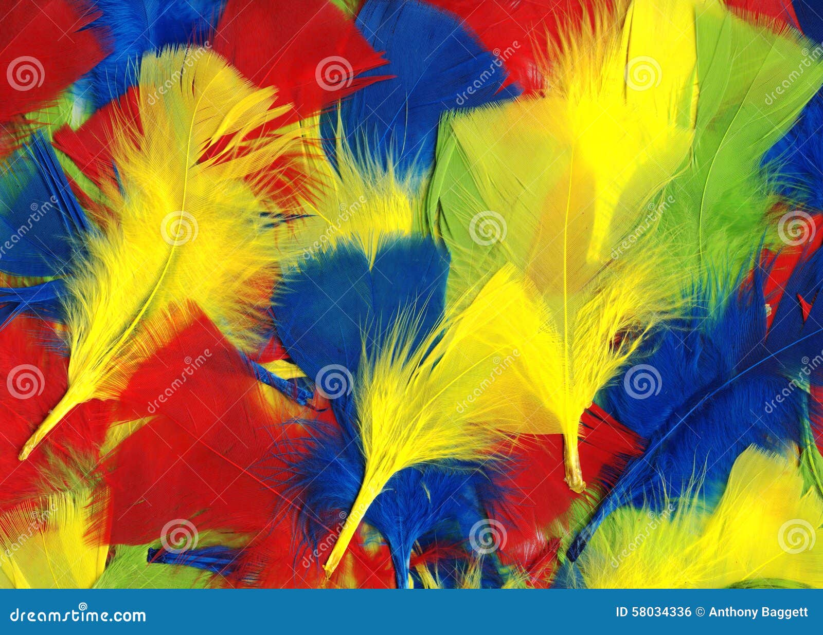 Multi Coloured Feathers Background Stock Photo - Image of elegance ...