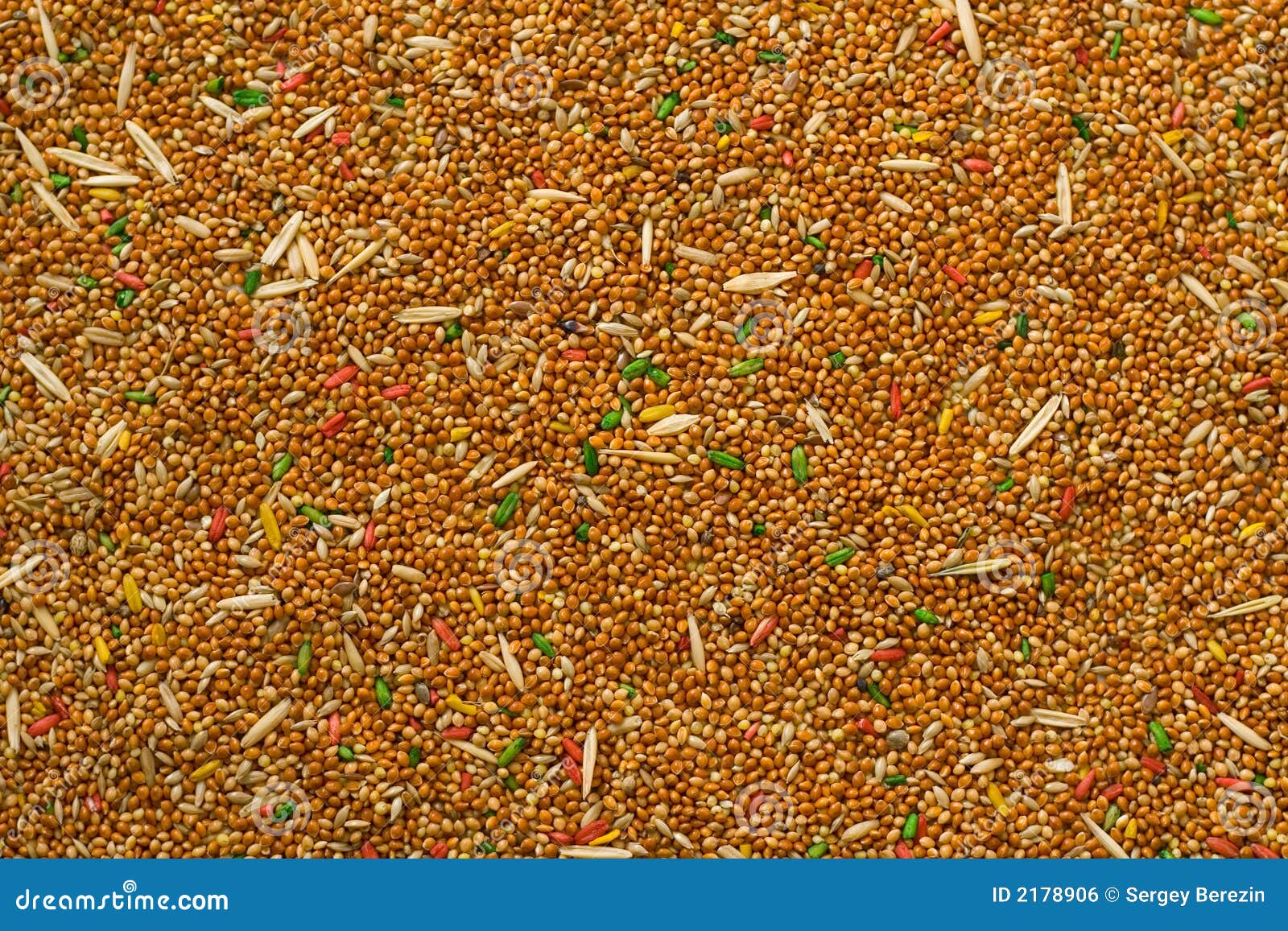 Multi-coloured grain stock photo. Image of grains, organic - 2178906