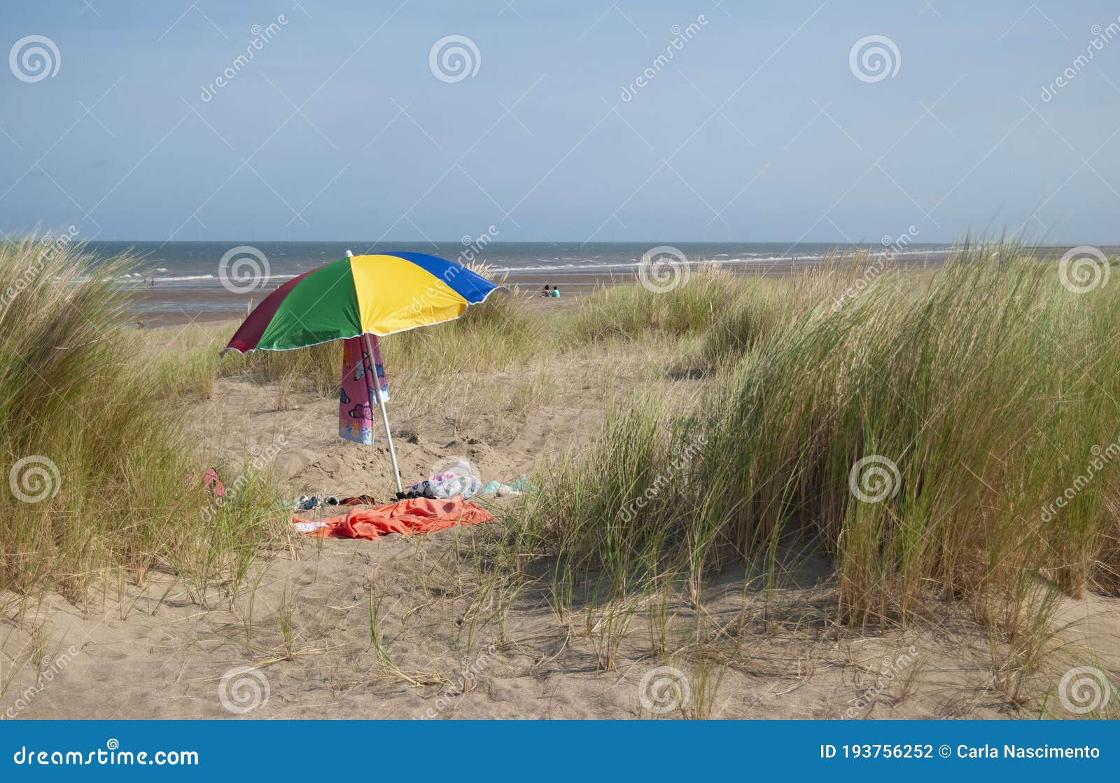 Multi Coloured Parasol among the Dunes at Mablethorpe Beach. Editorial ...