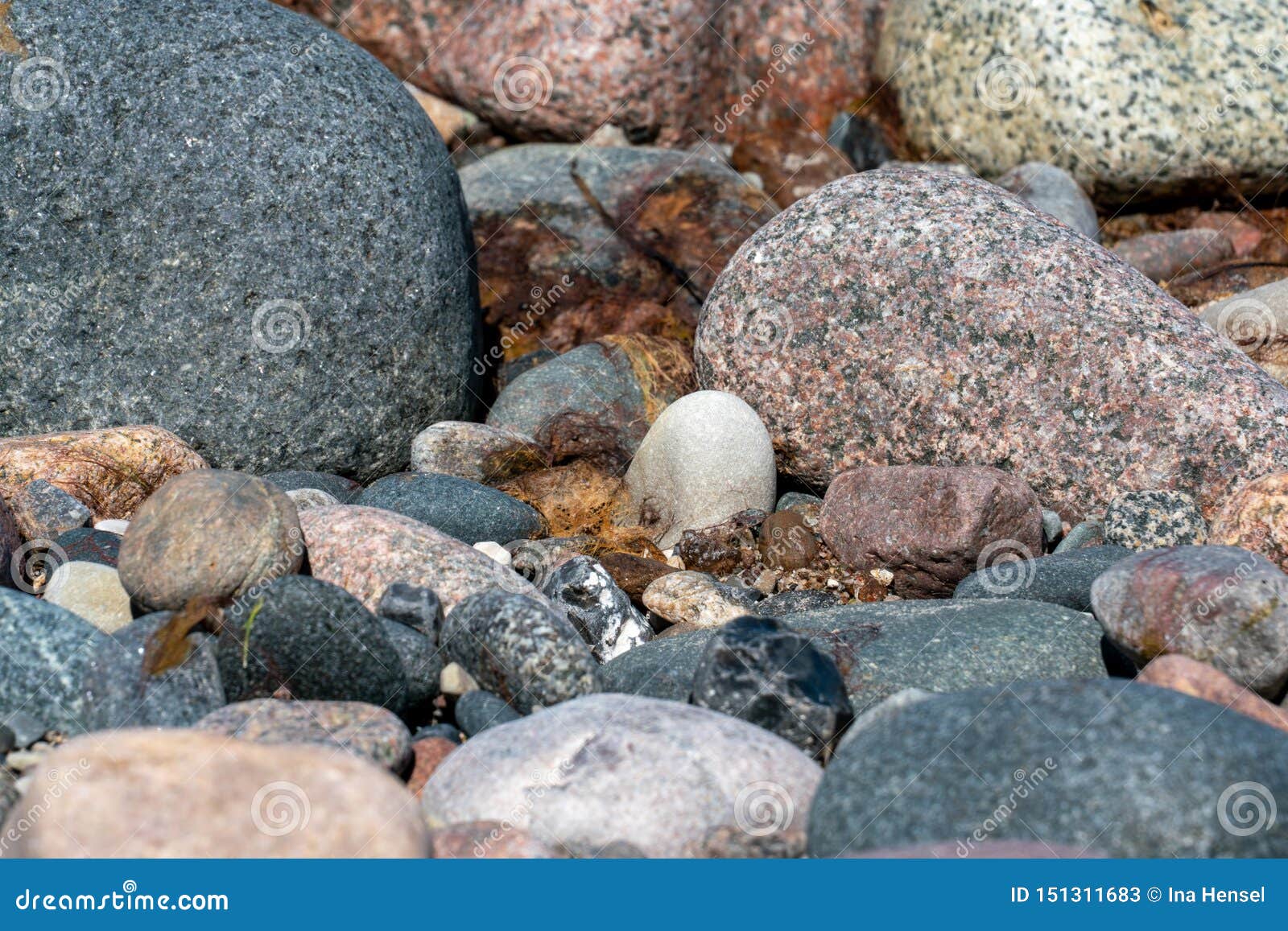Multi Coloured Pebbles on a Beach Stock Image - Image of coloured ...